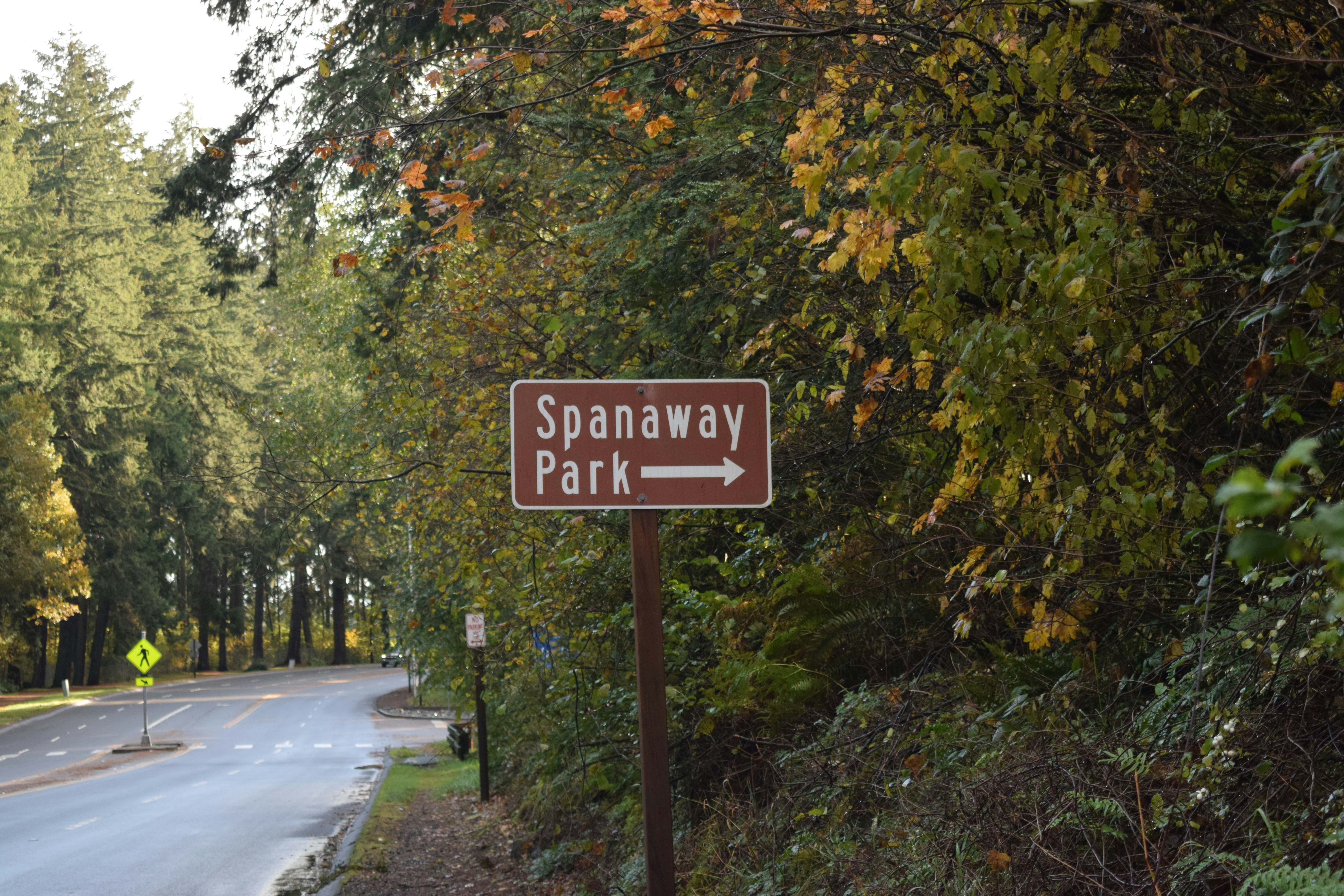 Spanaway Park Signpost Framed by an Autumn Roadside Forest