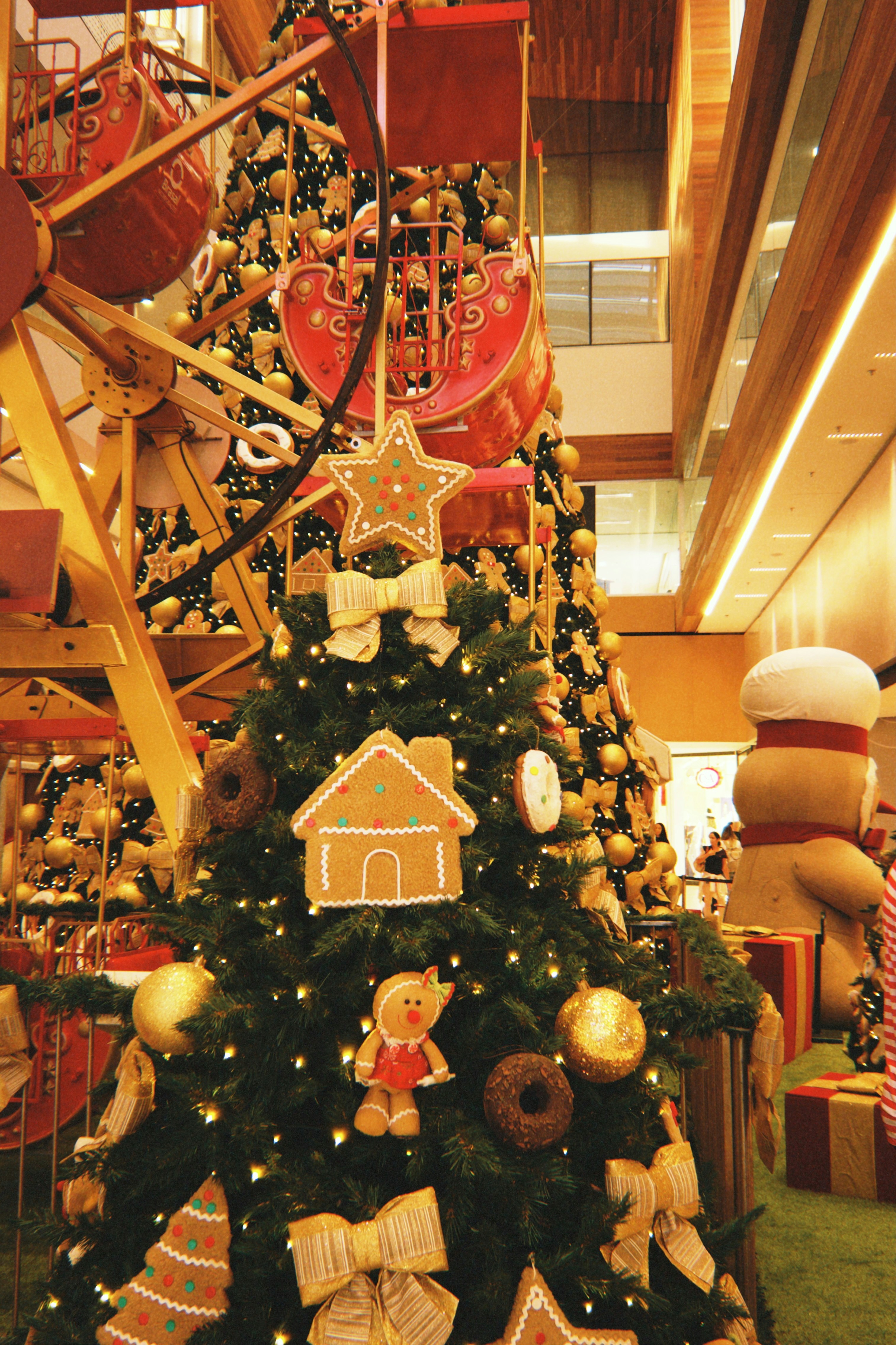 Photo by Douglas Alves with Apple iPhone 14