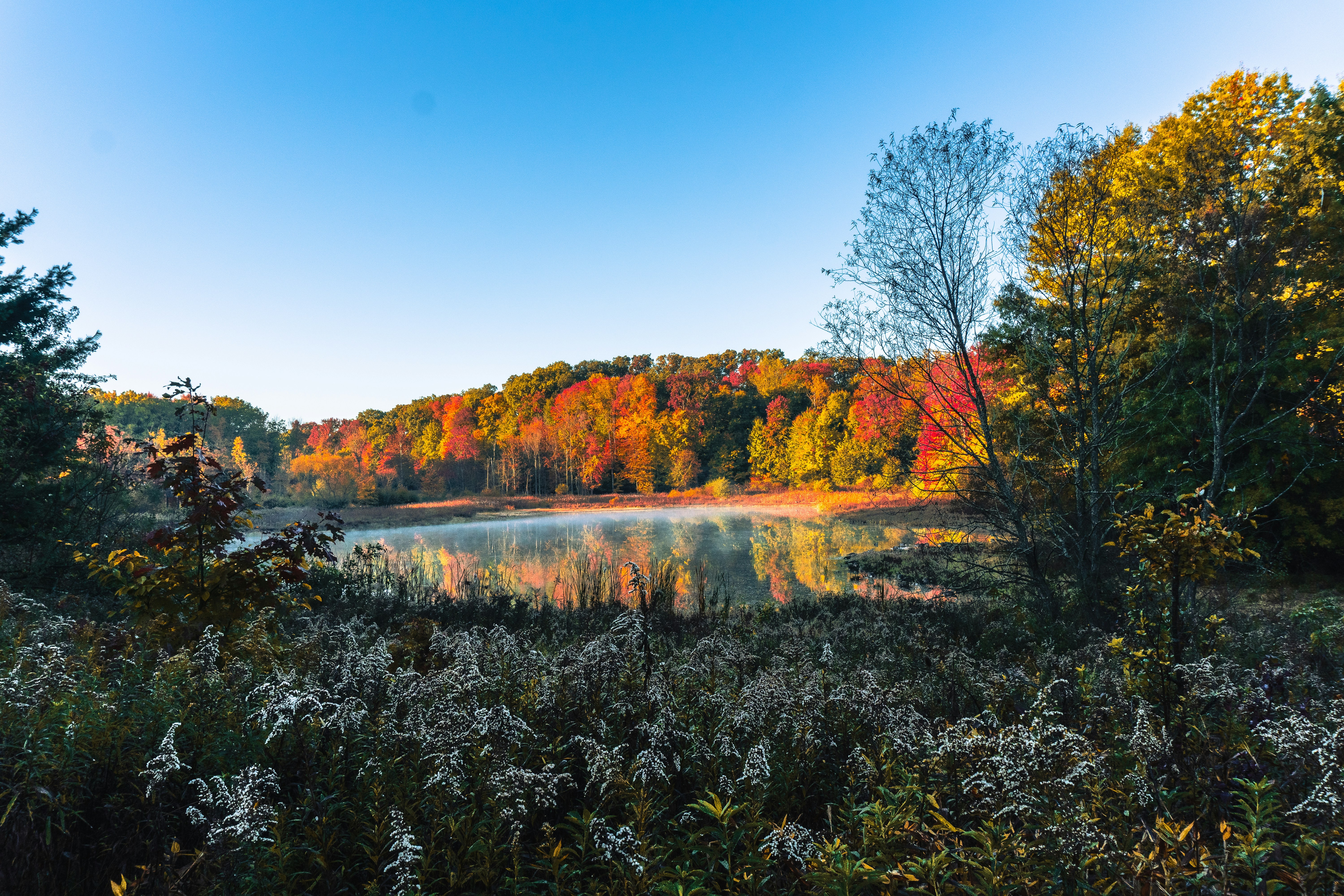 A lake surrounded by lots of trees in the fall photo – Free Vibrant ...