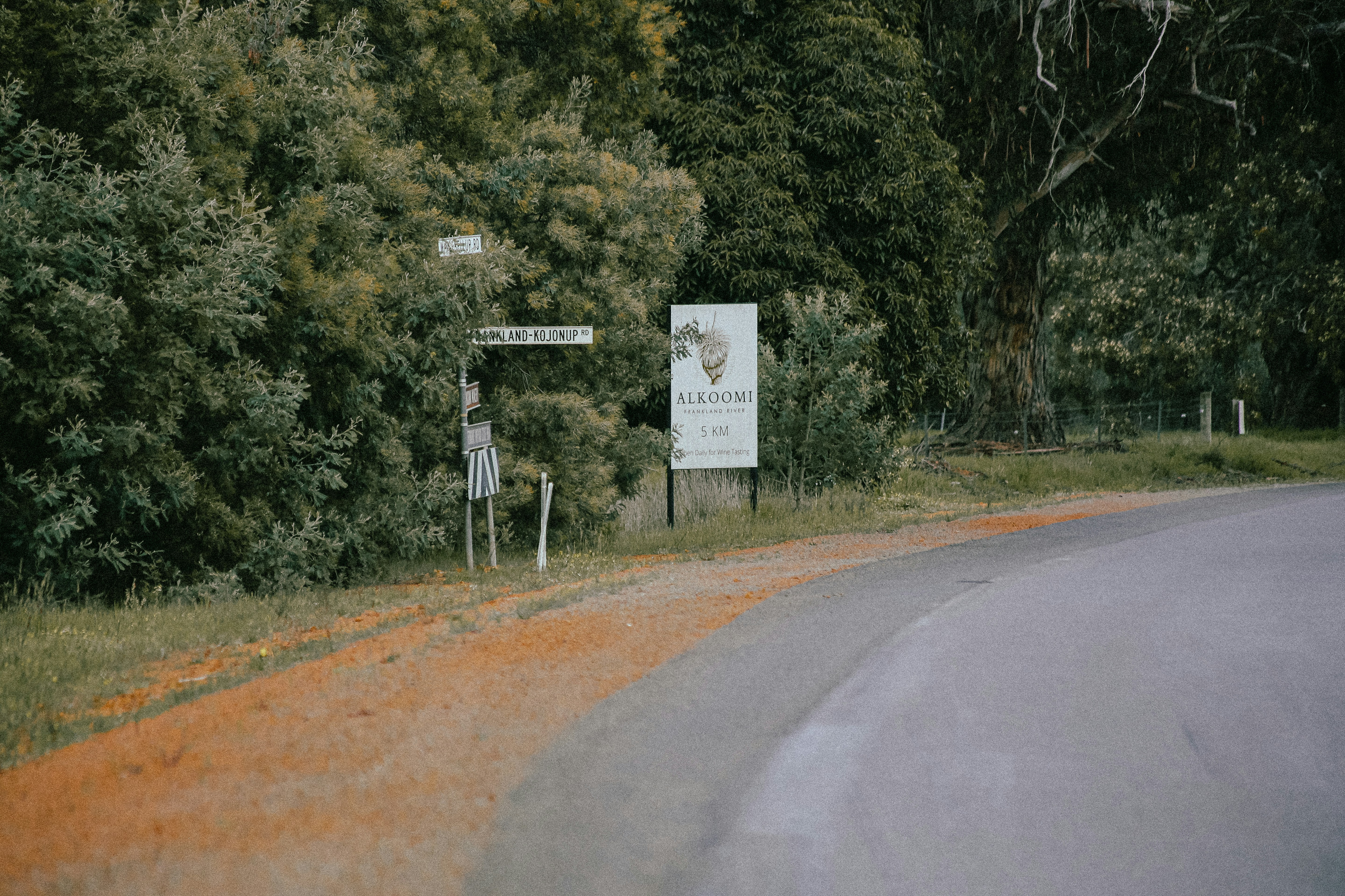 Photo by Rachel Kucera with Canon EOS 5D Mark III