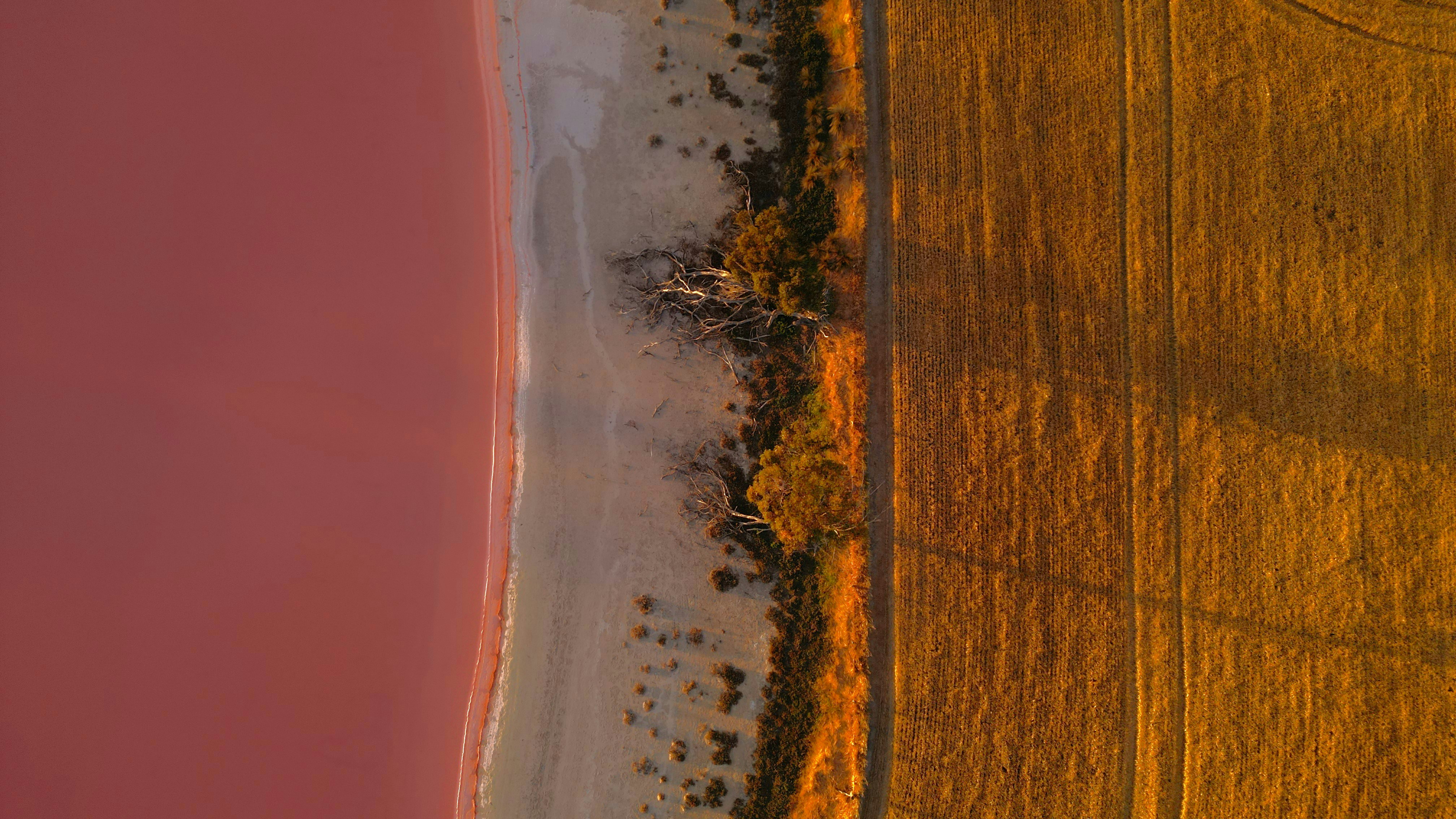A pink lagoon concedes to amber fields under a gold-tinted sky