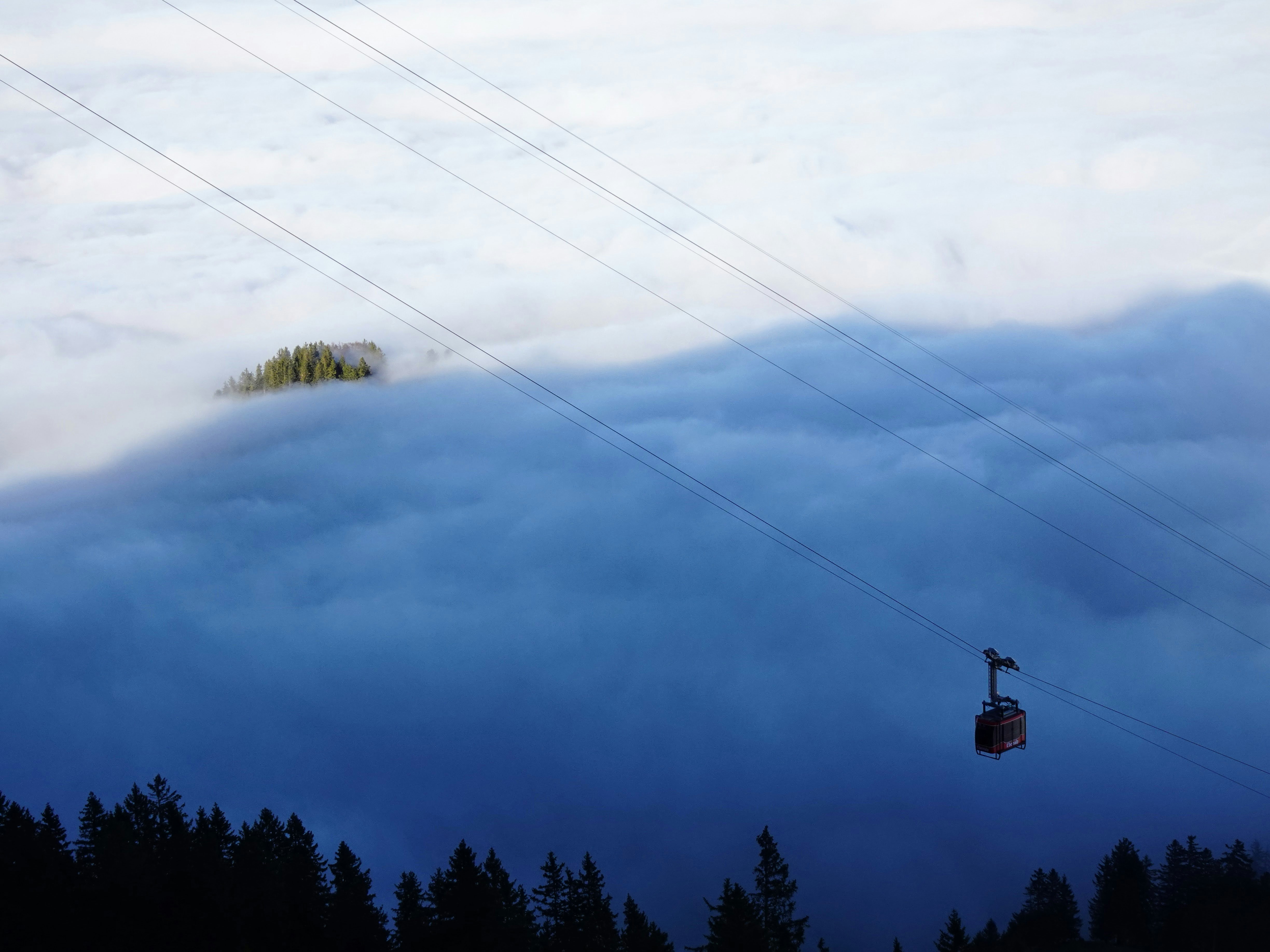 Cable Car Above a Sea of Clouds: Glide Over the Pines