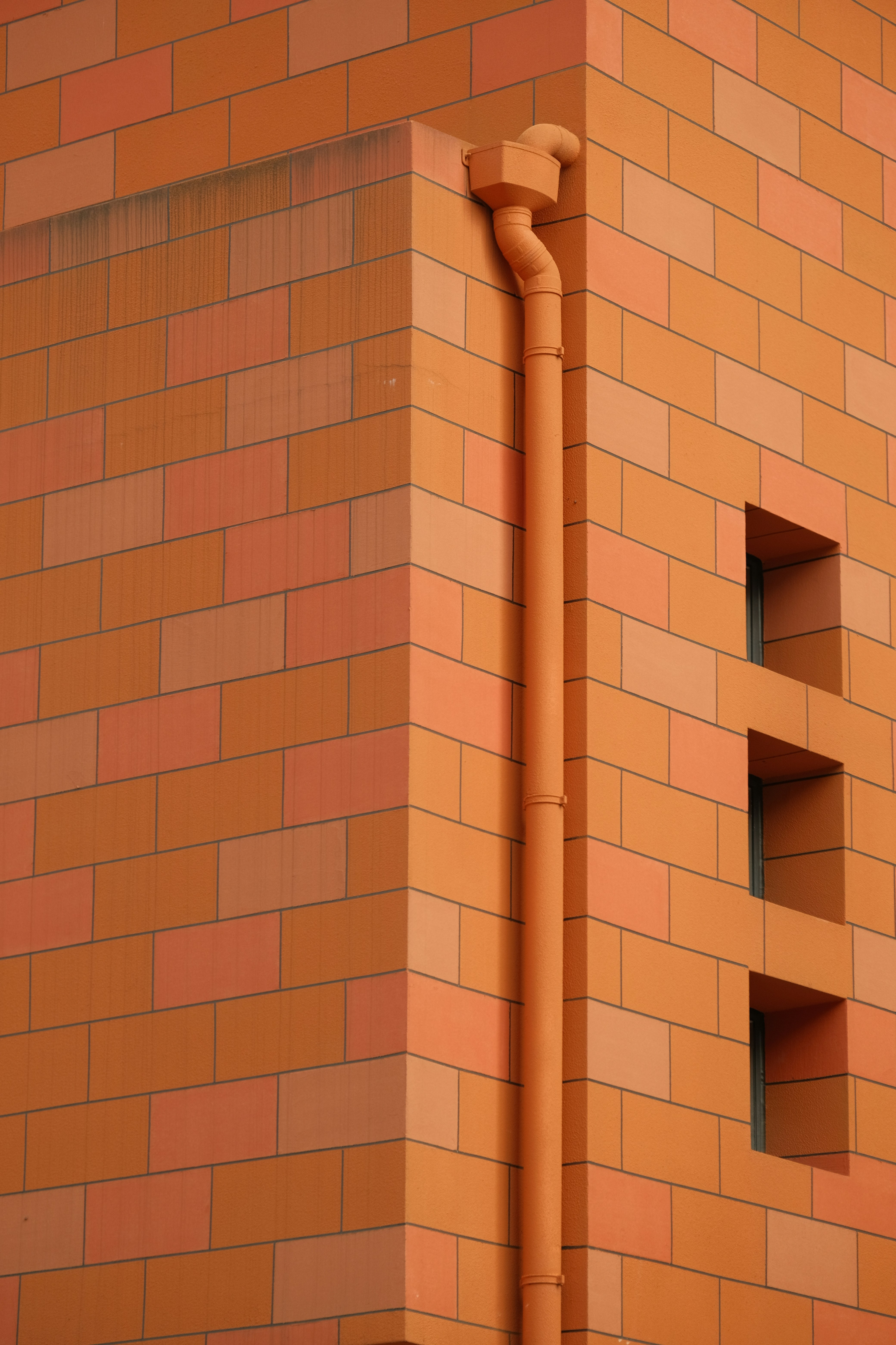 Architectural Spine: a vertical copper-orange drainpipe on a sunlit brick façade