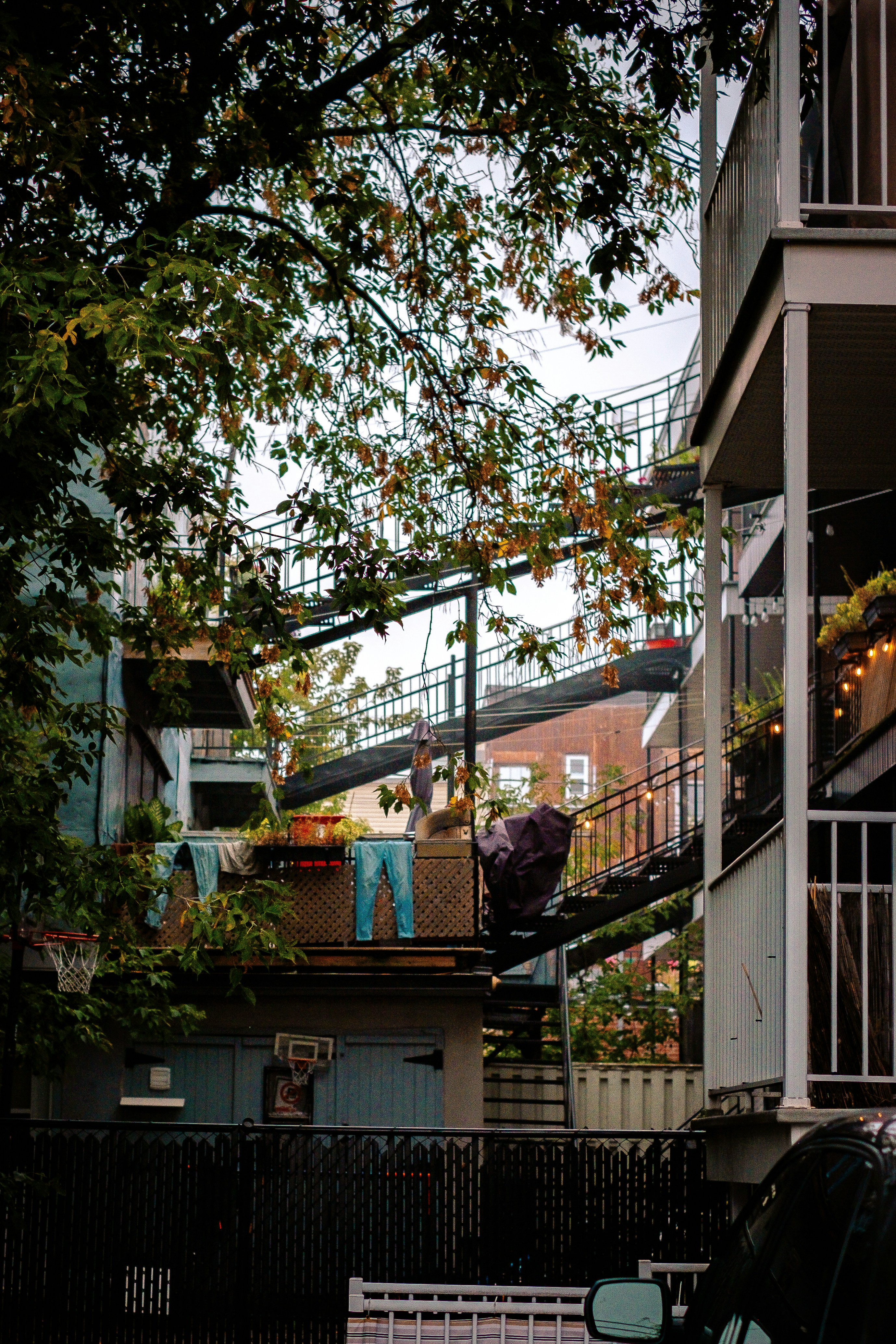Staircase Canopy: Laundry, Leaves, and Steel in a Quiet City Courtyard