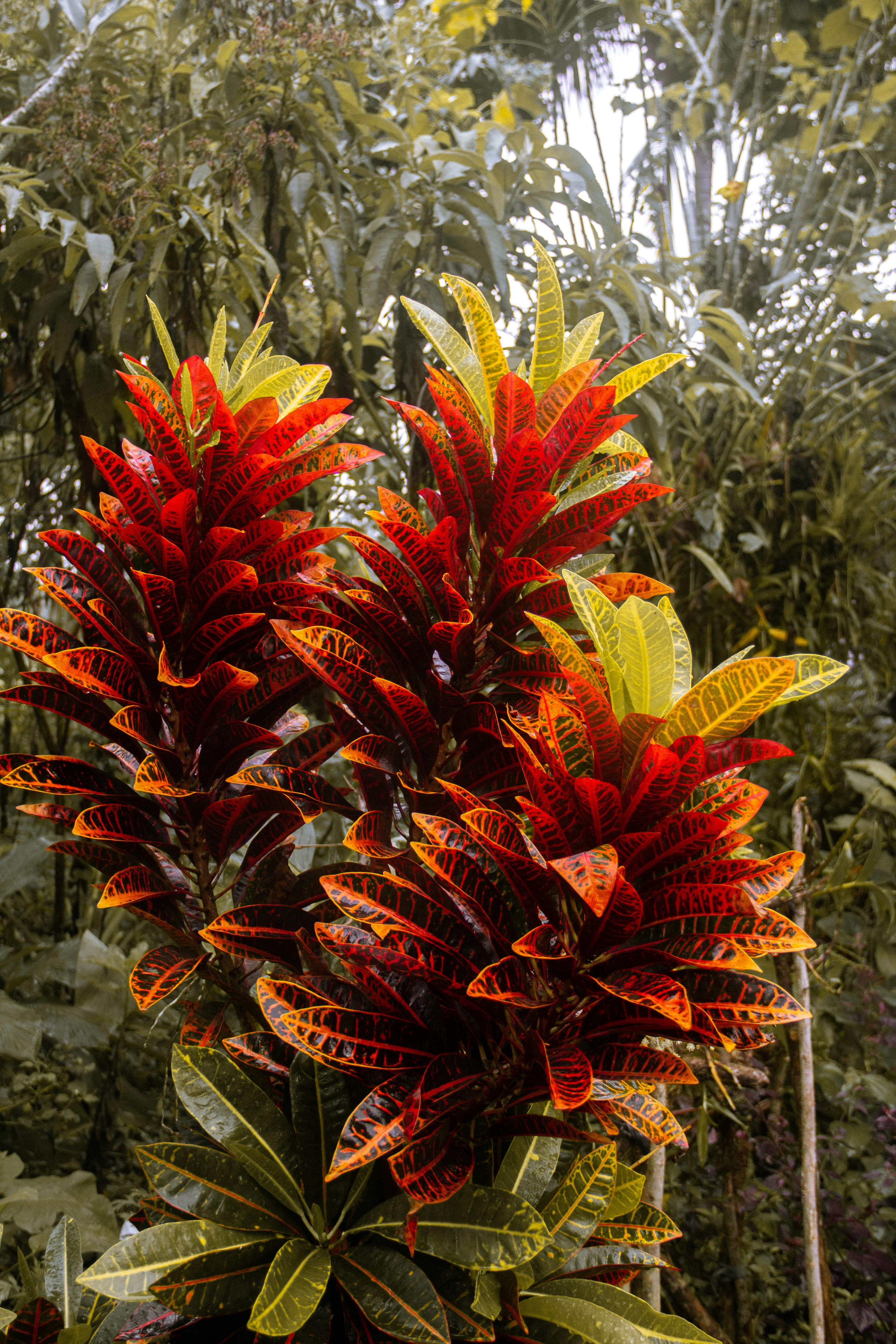 Photo by John Cercado with Canon EOS 60D