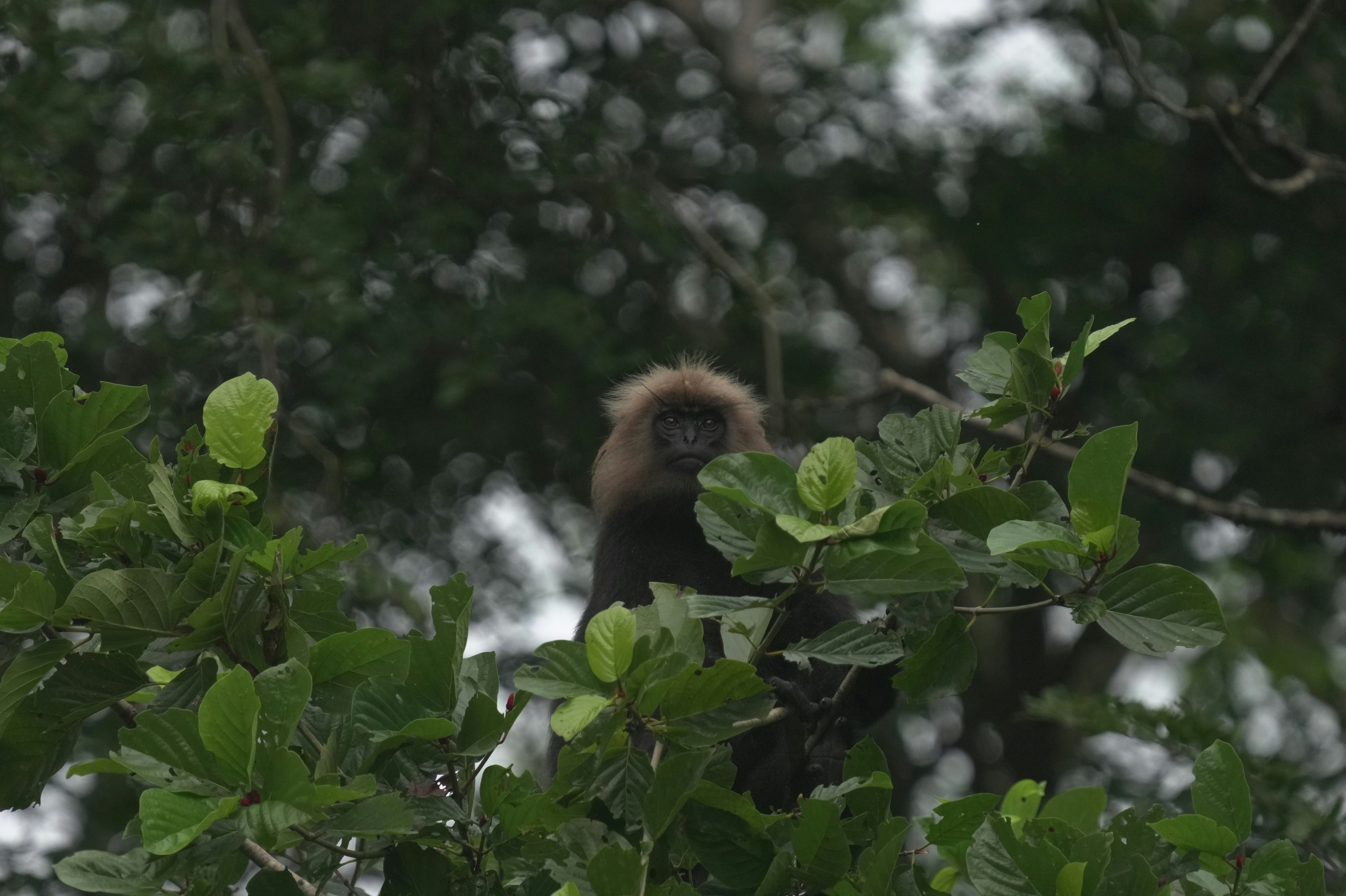 Photo by A M with Sony Alpha 7R V