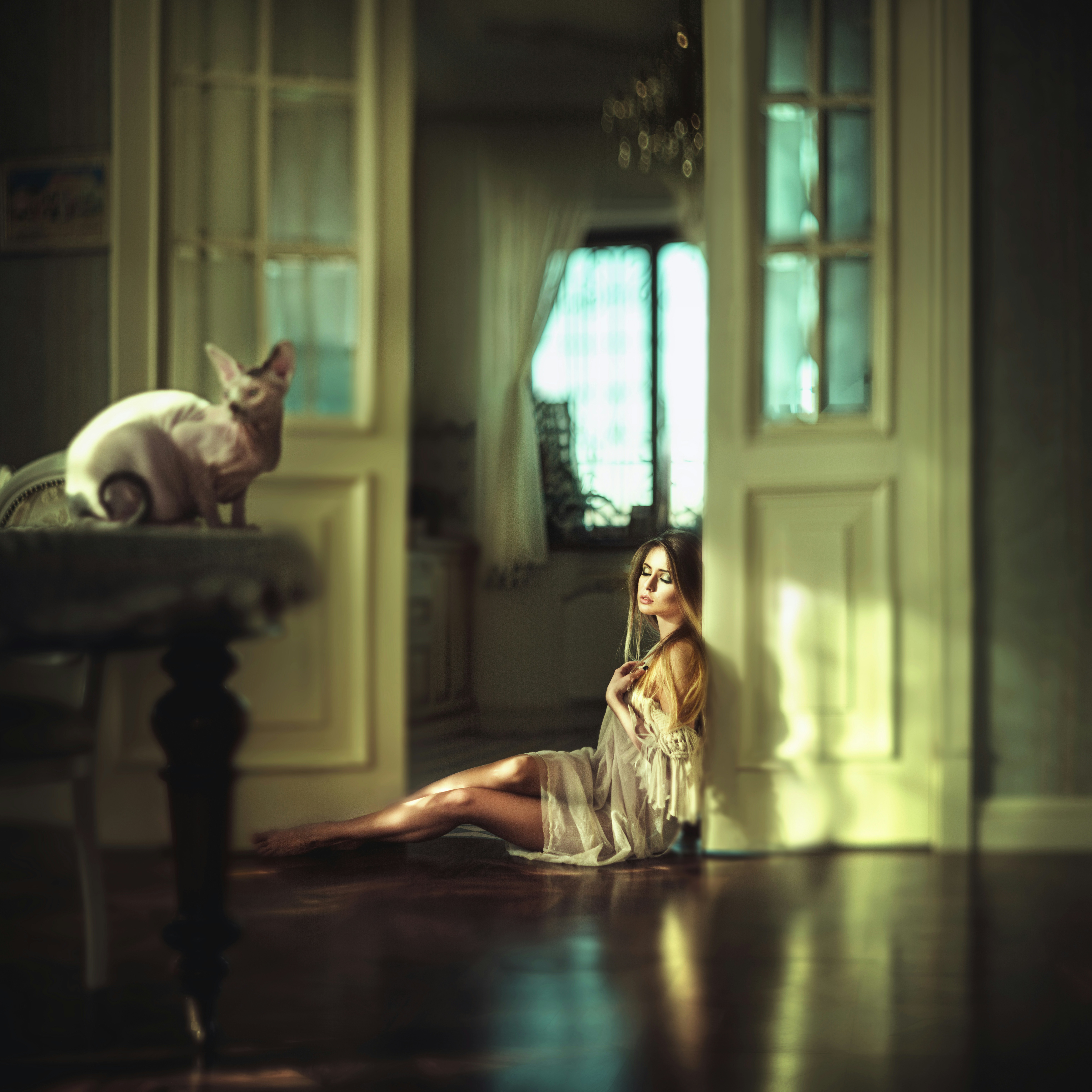 Solitude by the Sunlit Doors: A Quiet Moment in a Vintage Parlor