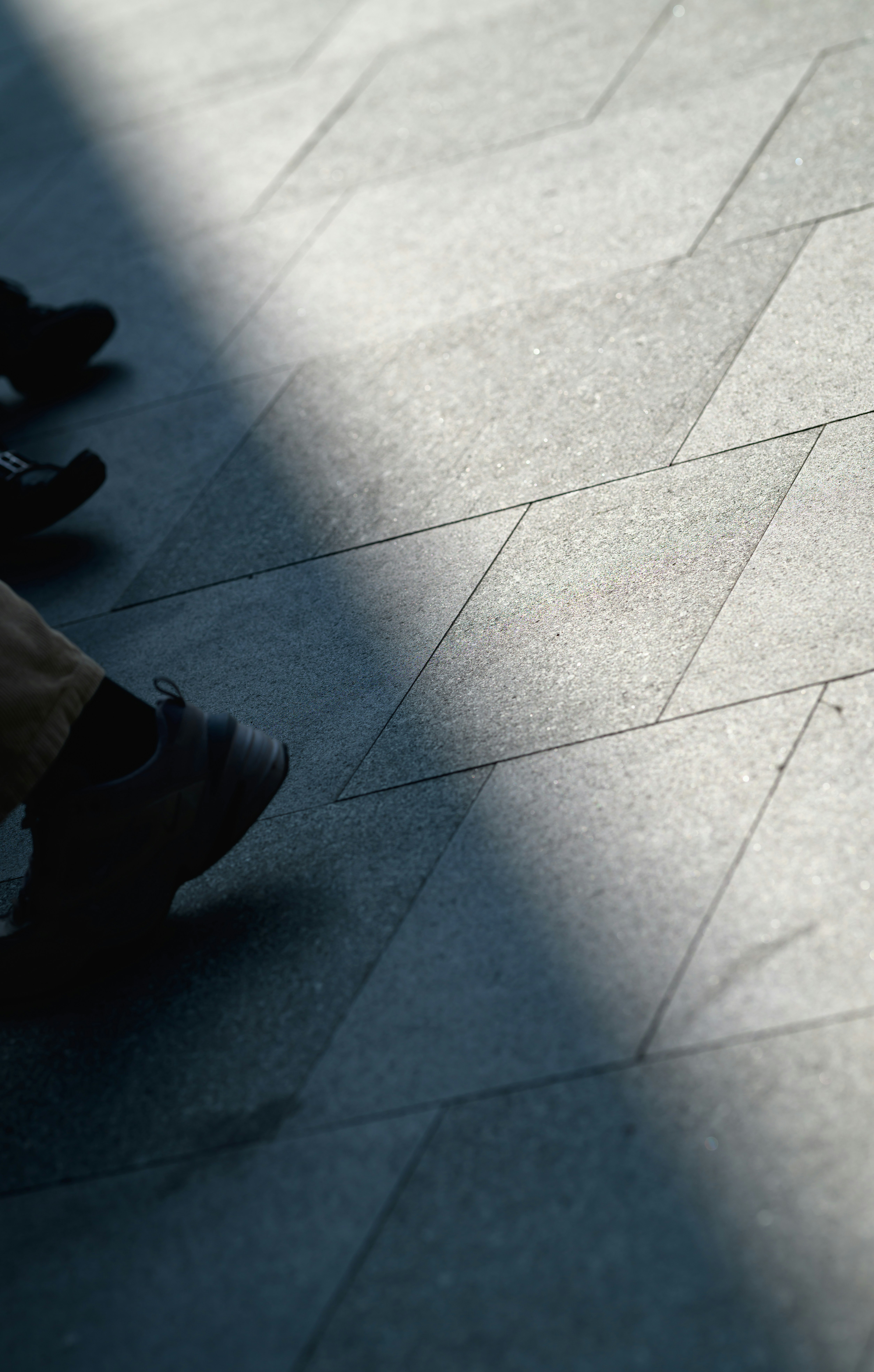 Photo by Declan Sun with Nikon Z8