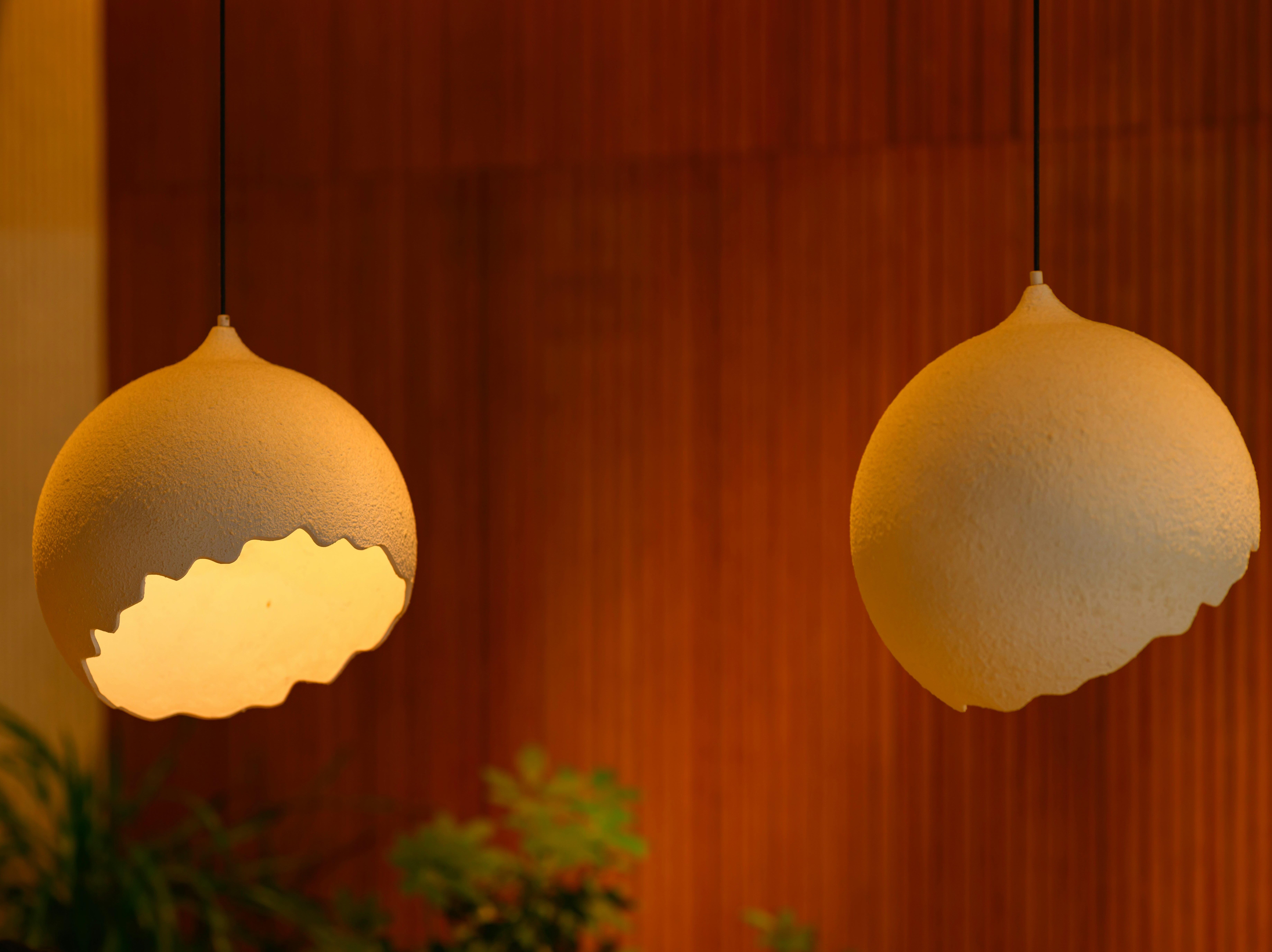 Warm Orbs Over a Wooden Backdrop