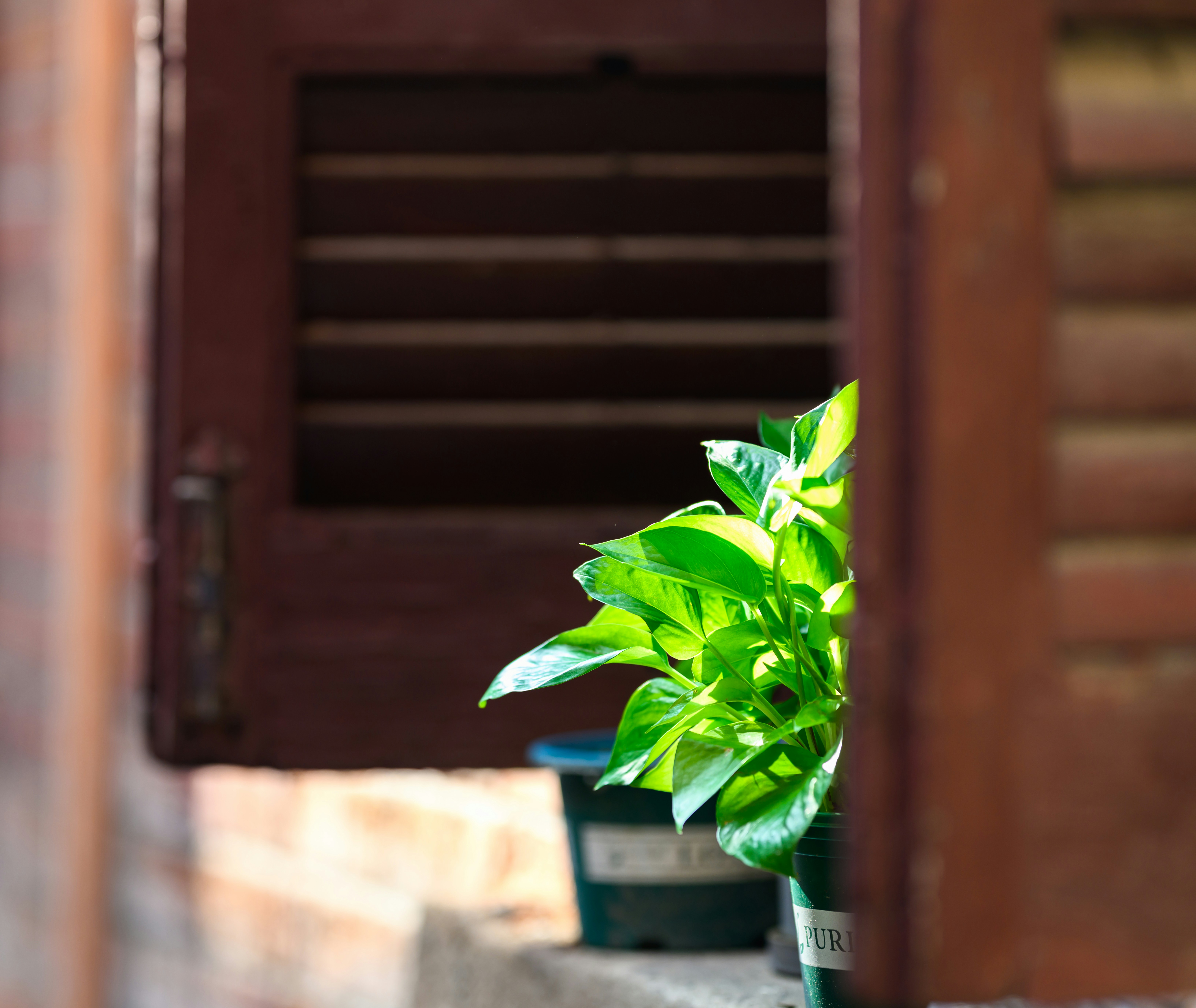 Photo by Declan Sun with Nikon Z8