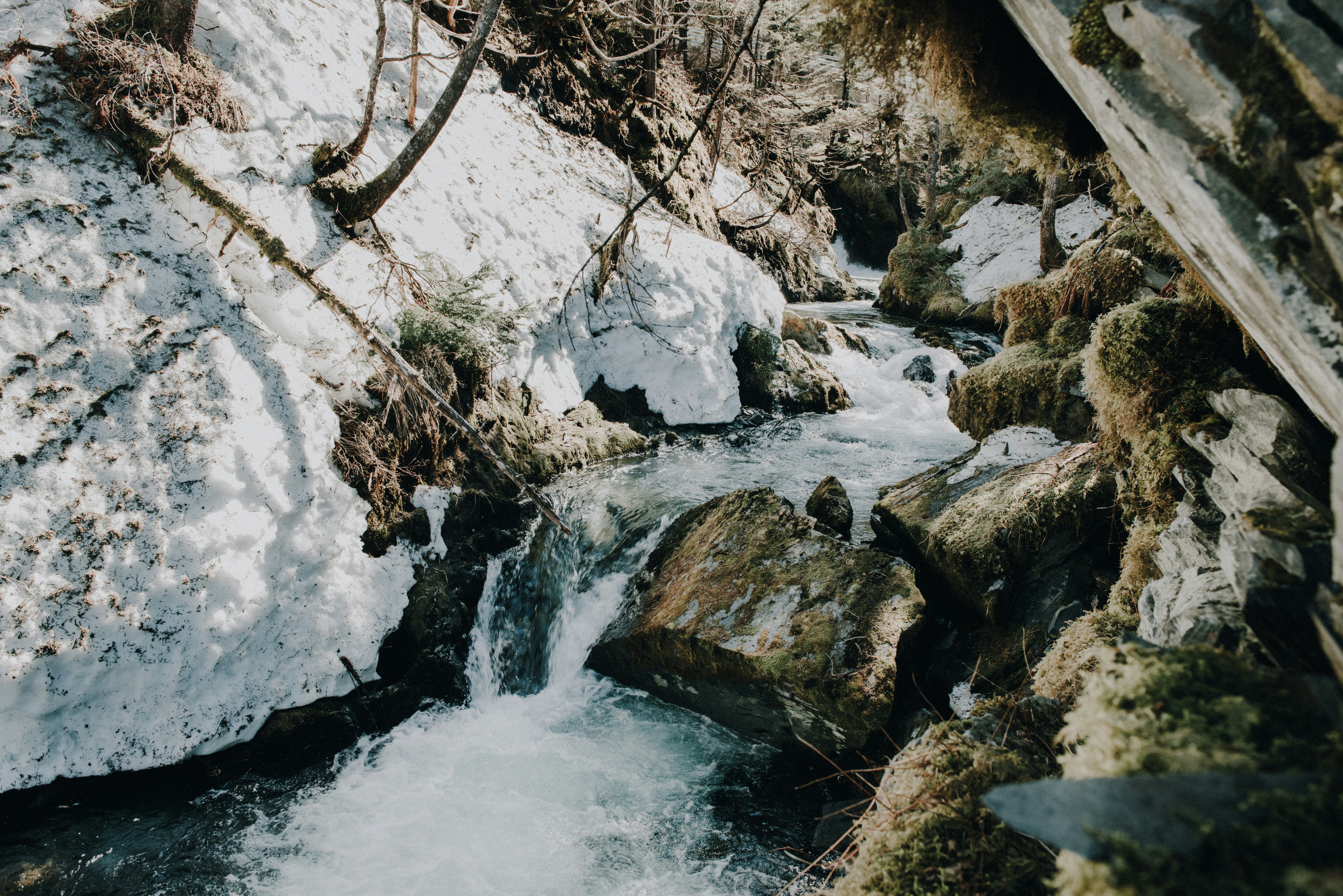 A stream running through a forest covered in snow