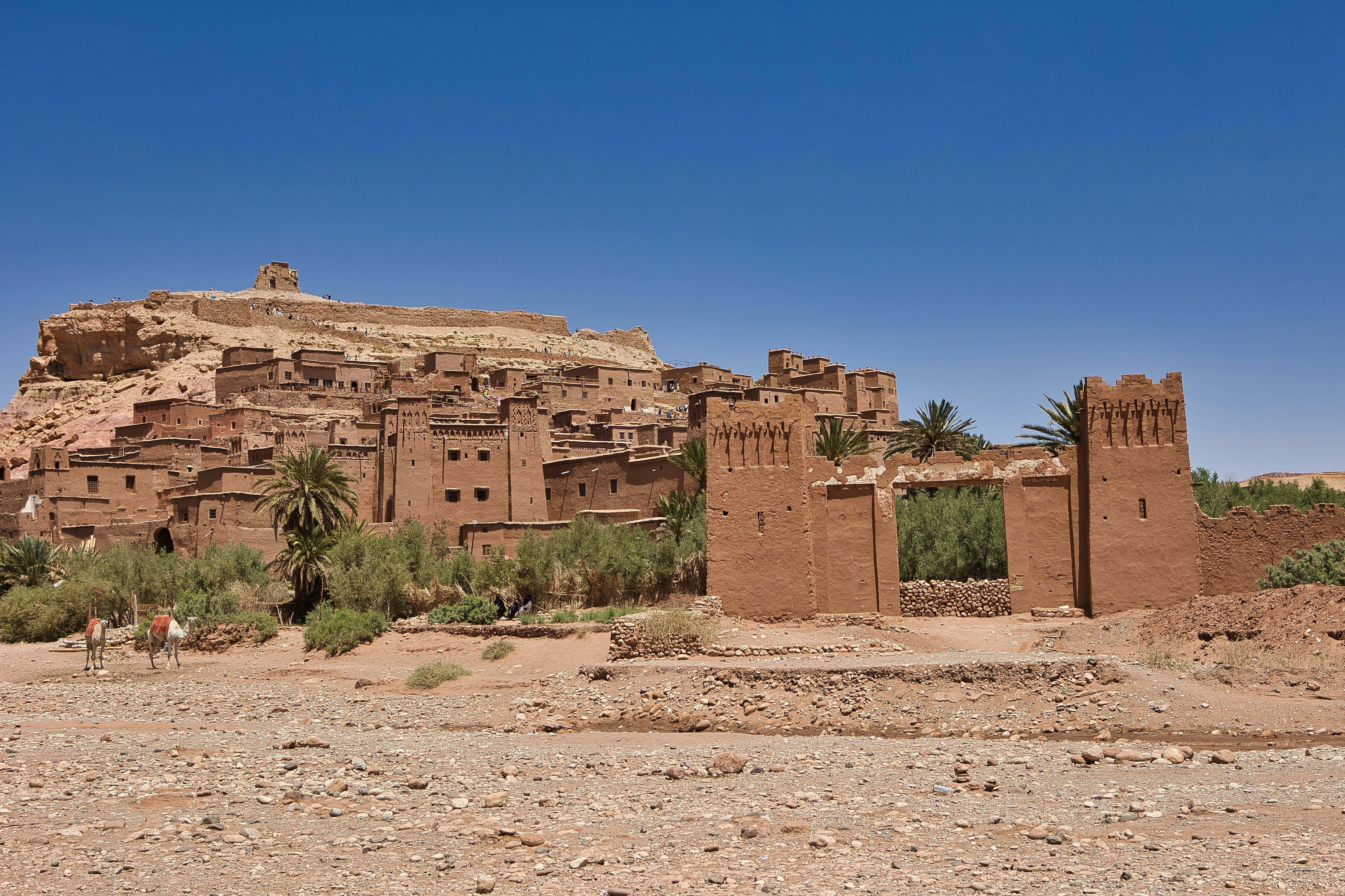 Photo by Marcel L. with Canon EOS R6