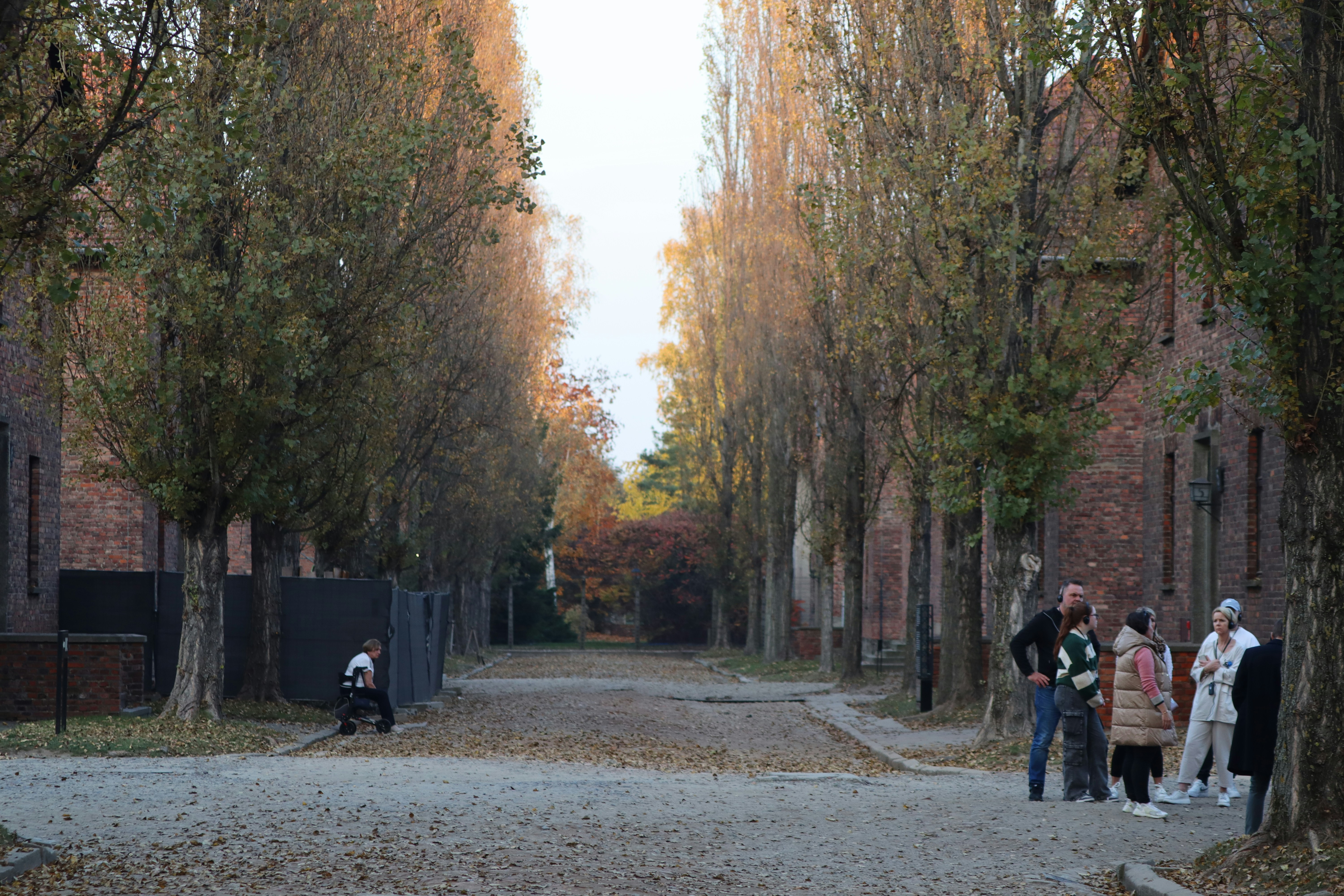 Autumn Alley: Quiet Avenue Between Brick Facades