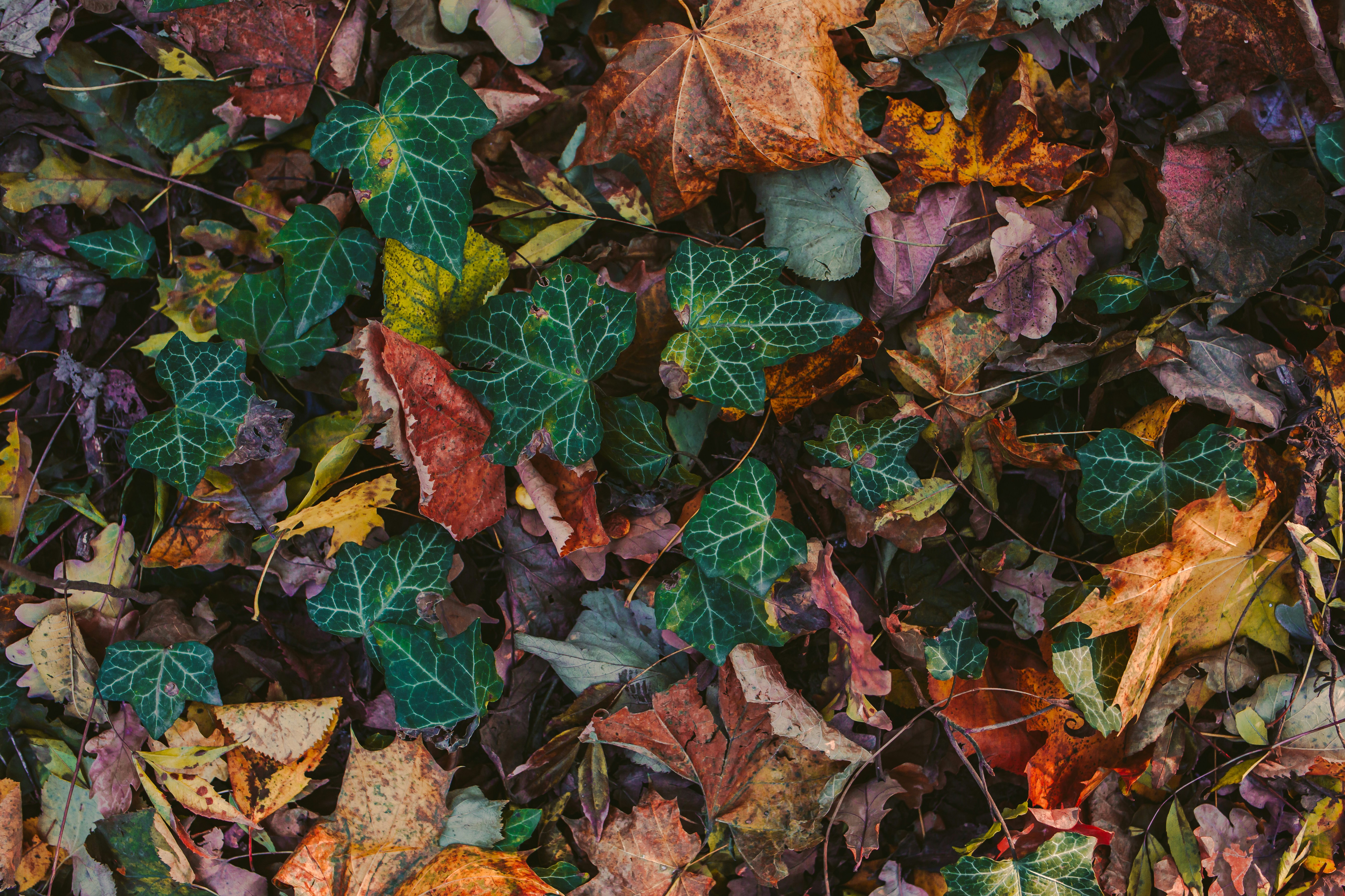 Photo by Tanja Tepavac with Canon EOS 5D Mark III