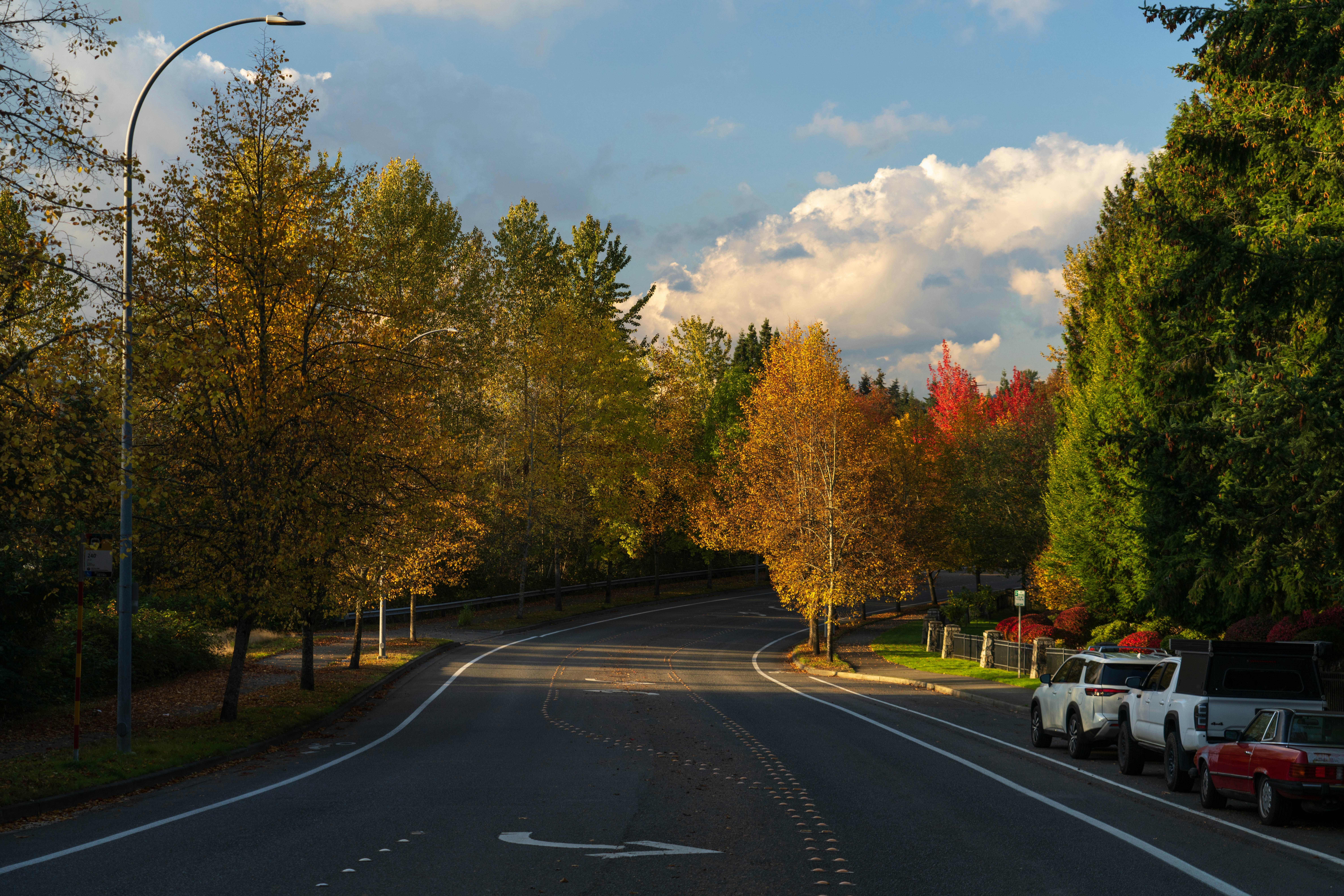 Bellevue, Seattle, Washington, USA