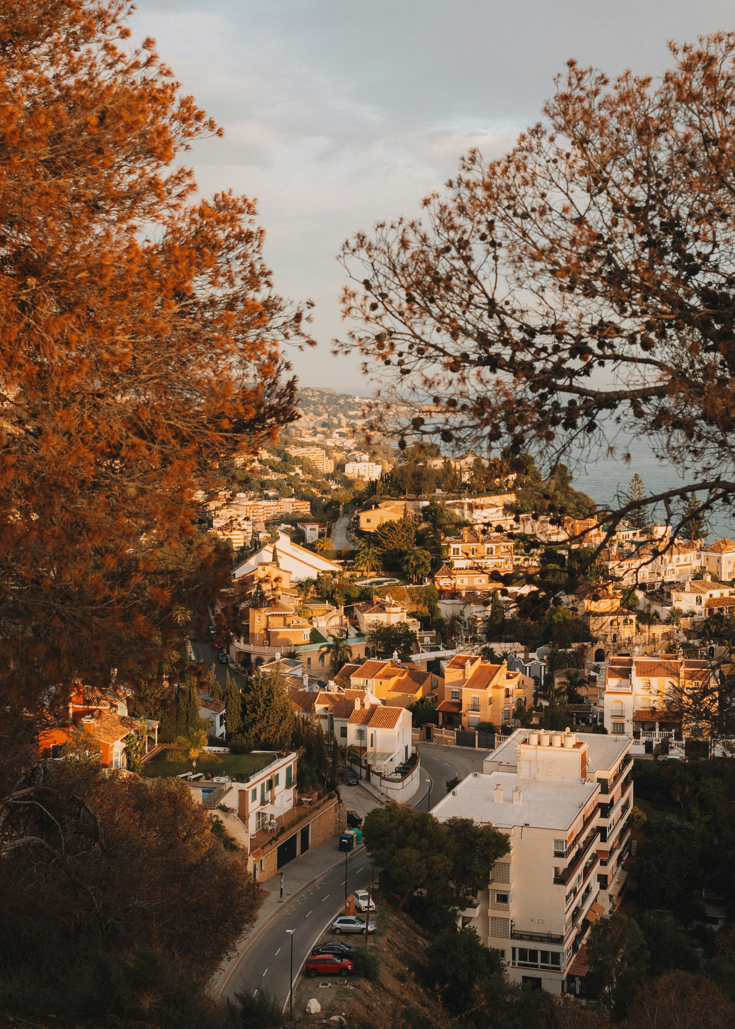 Photo by Yuliya Matuzava with Canon EOS 6D Mark II