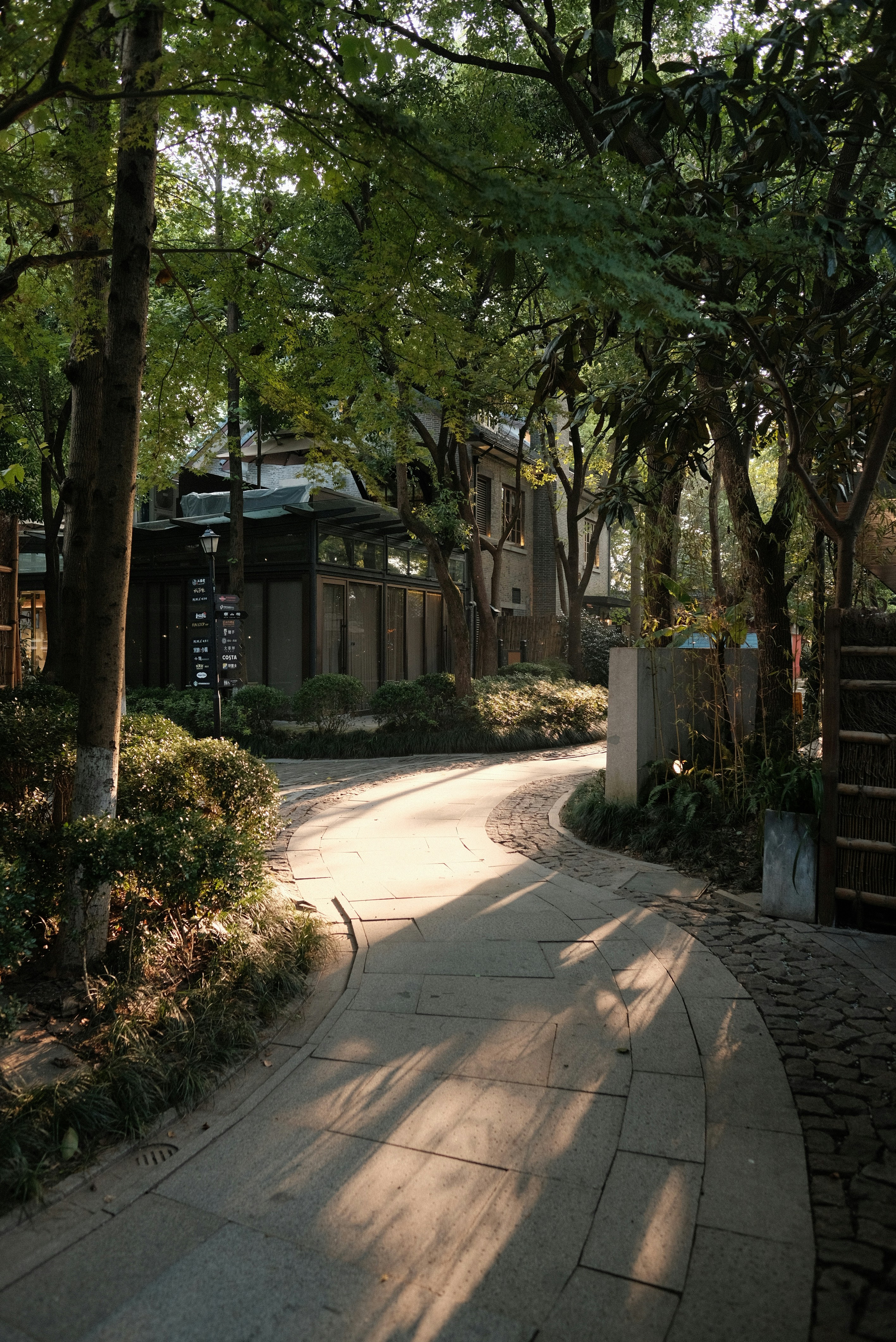 Shaded Pathway Through a Quiet Tree-Lined Courtyard