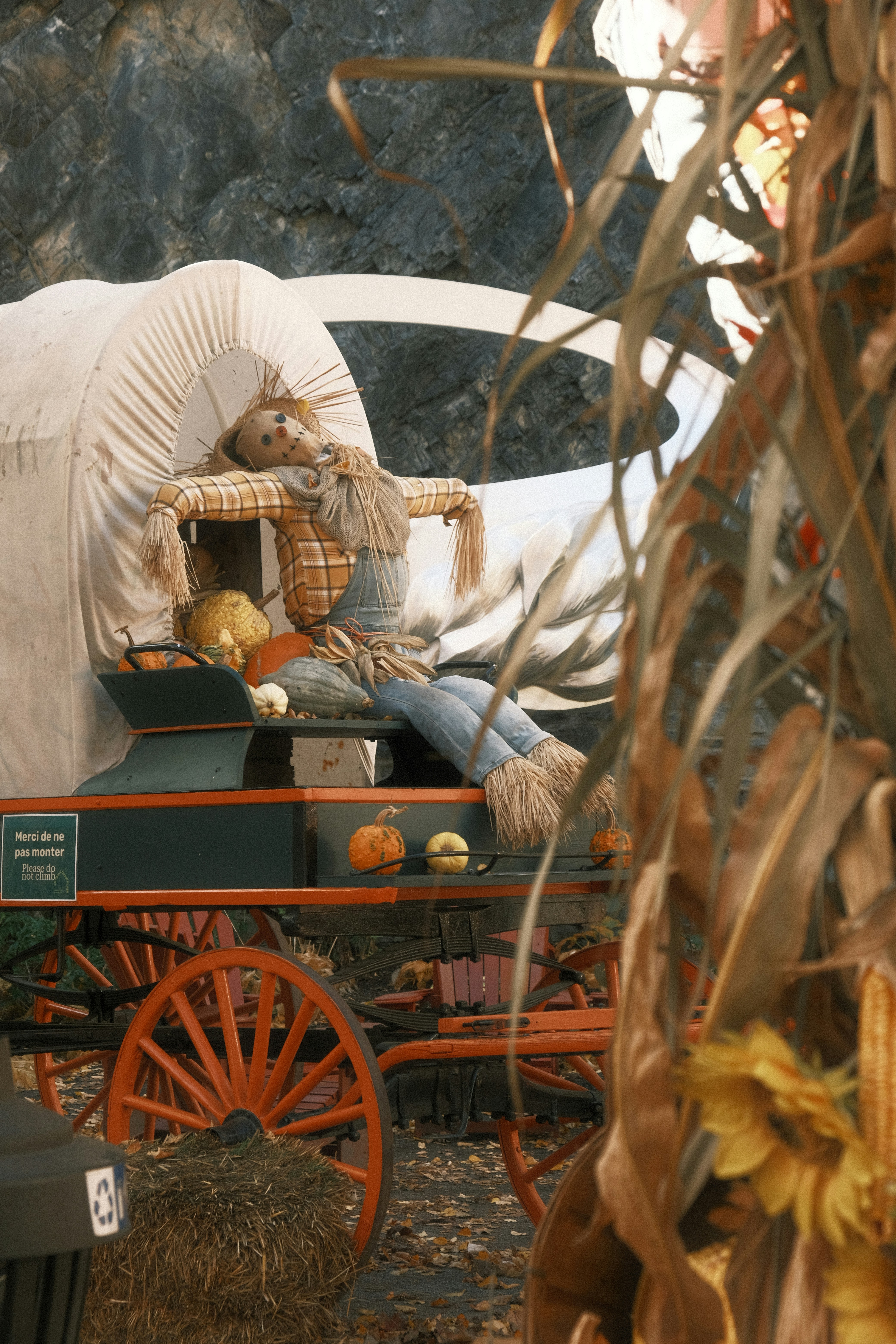 Harvest Wagon Whisper: A Scarecrow’s Cozy Harvest Display