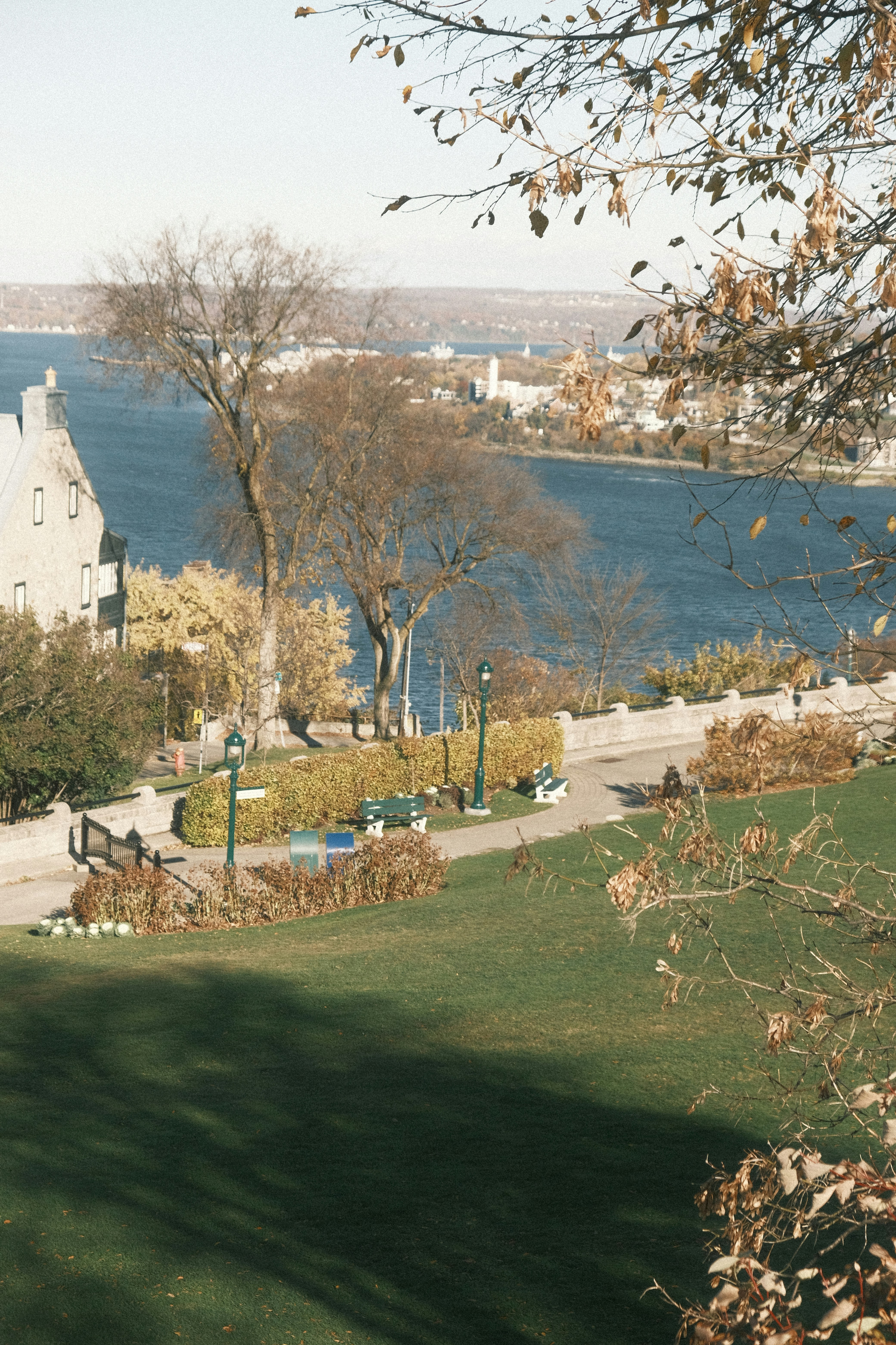 Autumn Riverside: Benches along a winding park path by the water