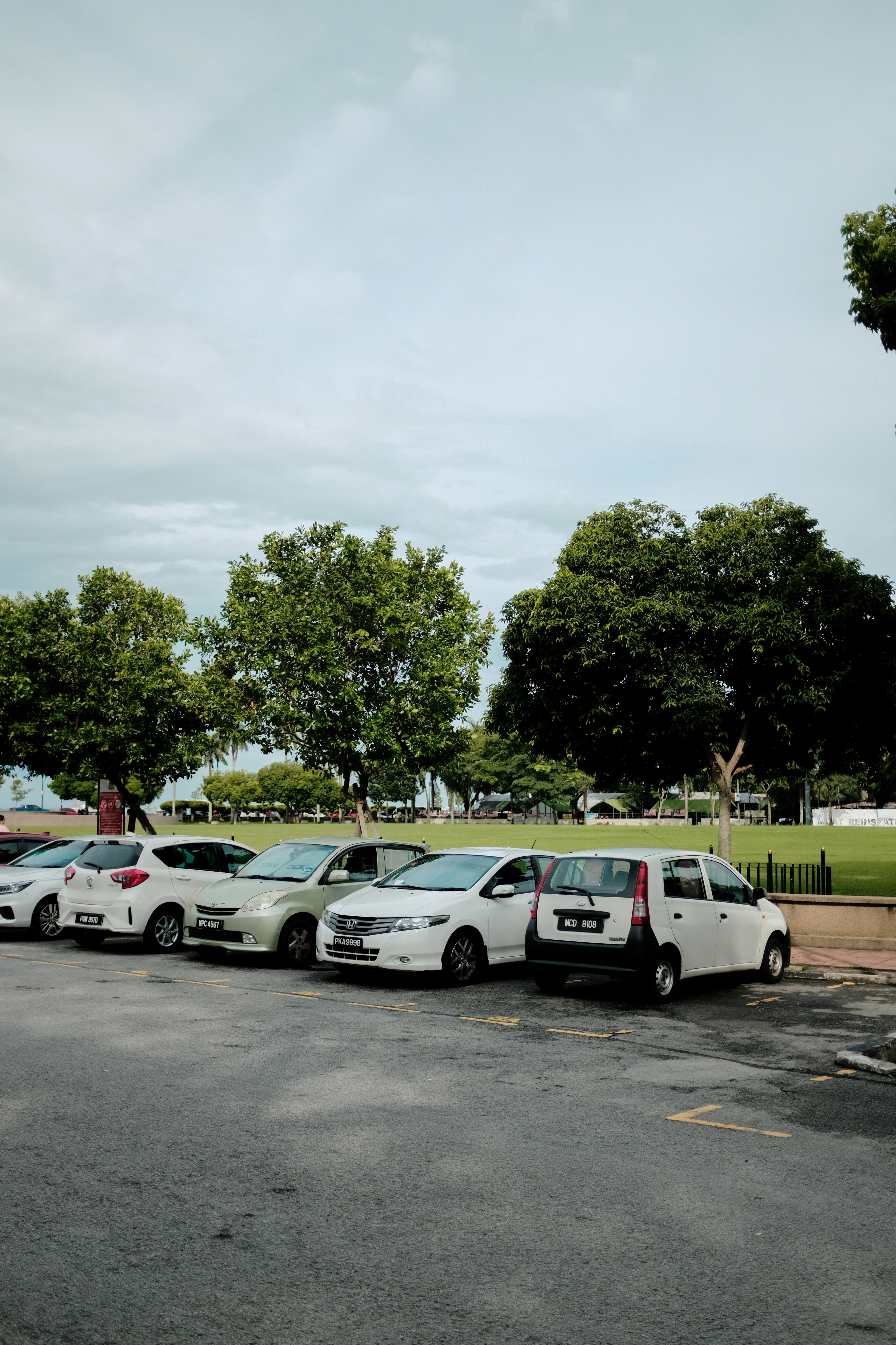 Line of Cars under a Sky-Washed Park Canopy