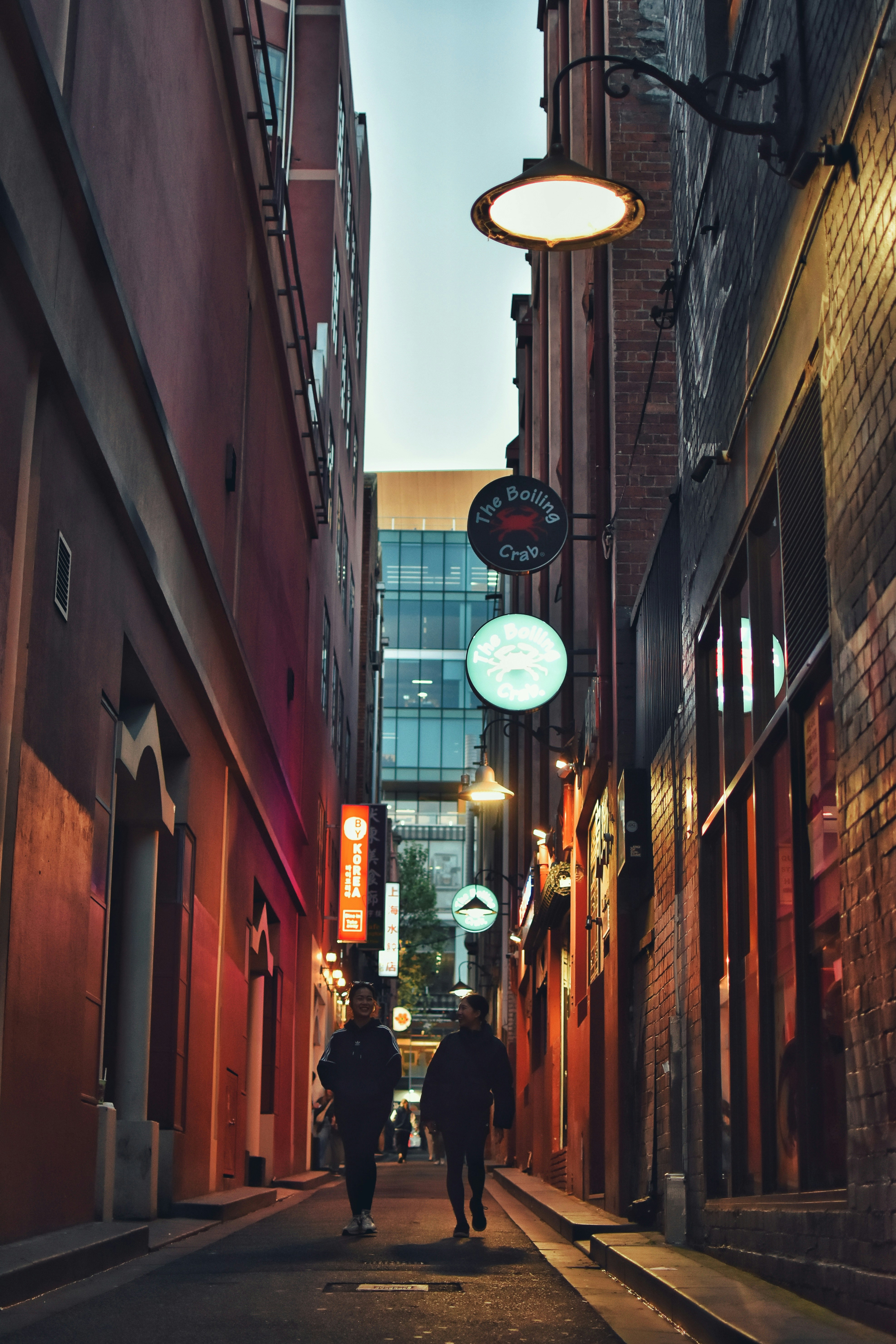 Lanterns and Echoes: Two Pedestrians in a Neon-Lit Alley