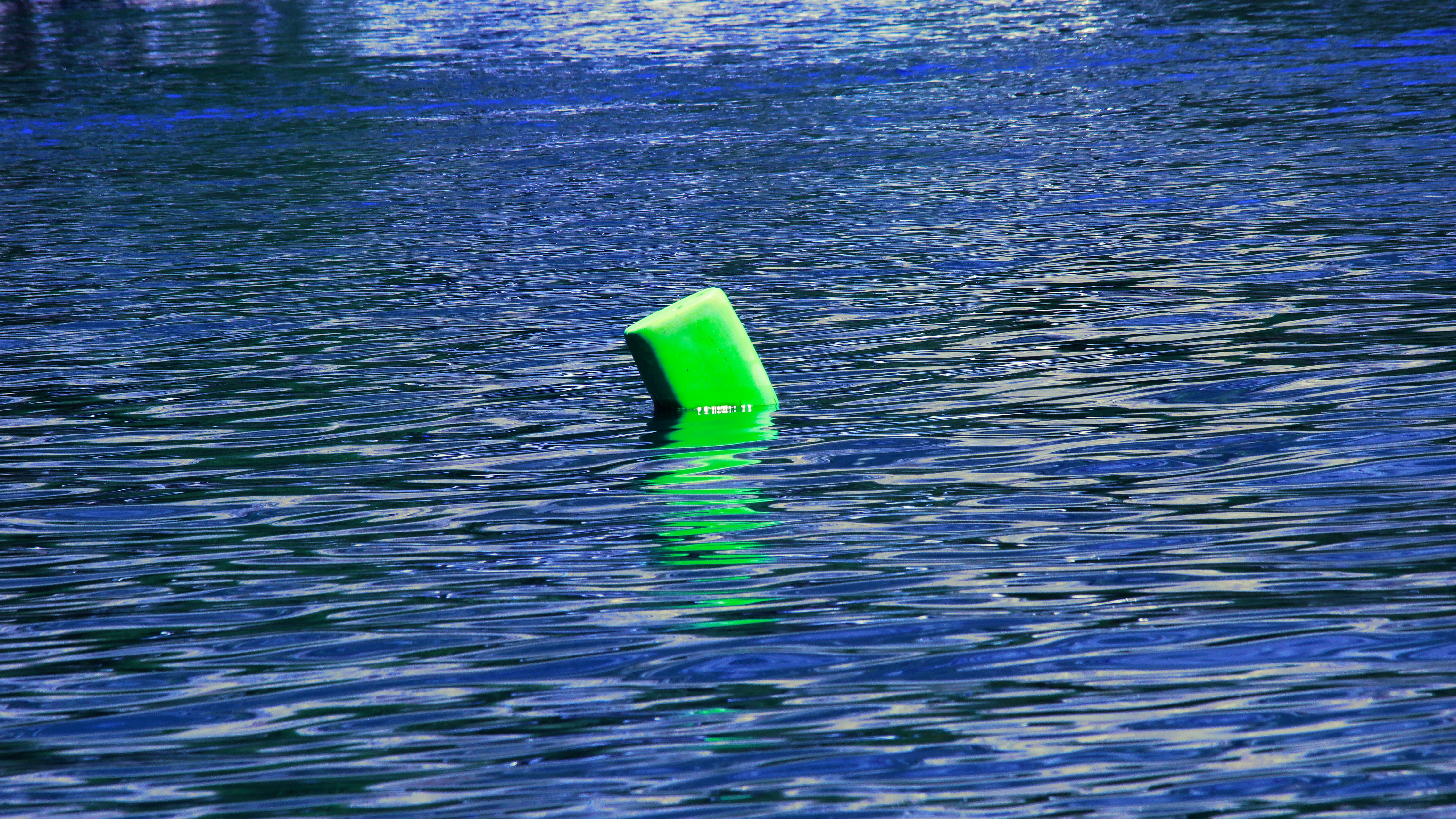 A green cone floating in a body of water photo – Free Nature Image on ...