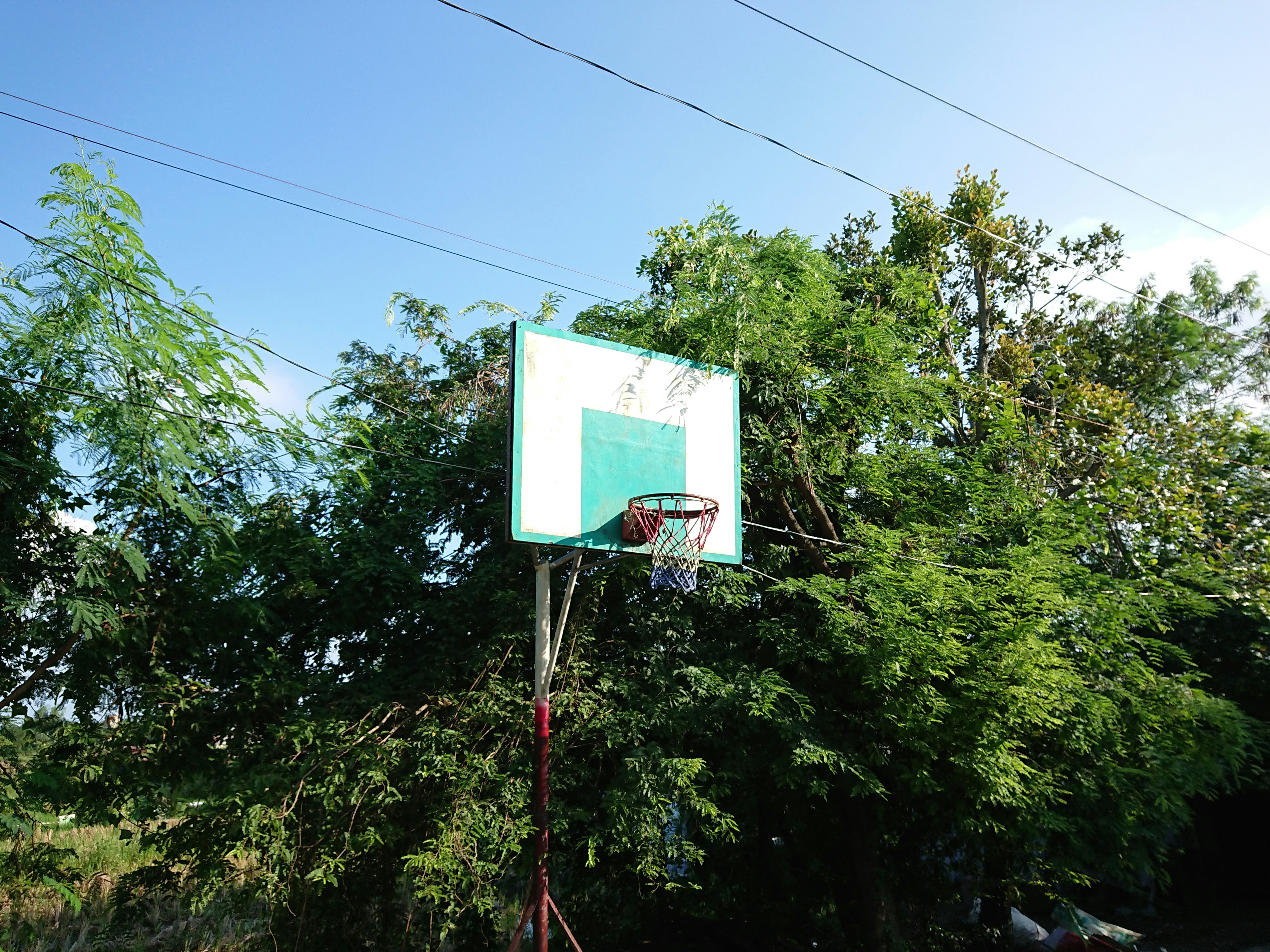 A basketball hoop in the middle of a wooded area photo – Free November ...