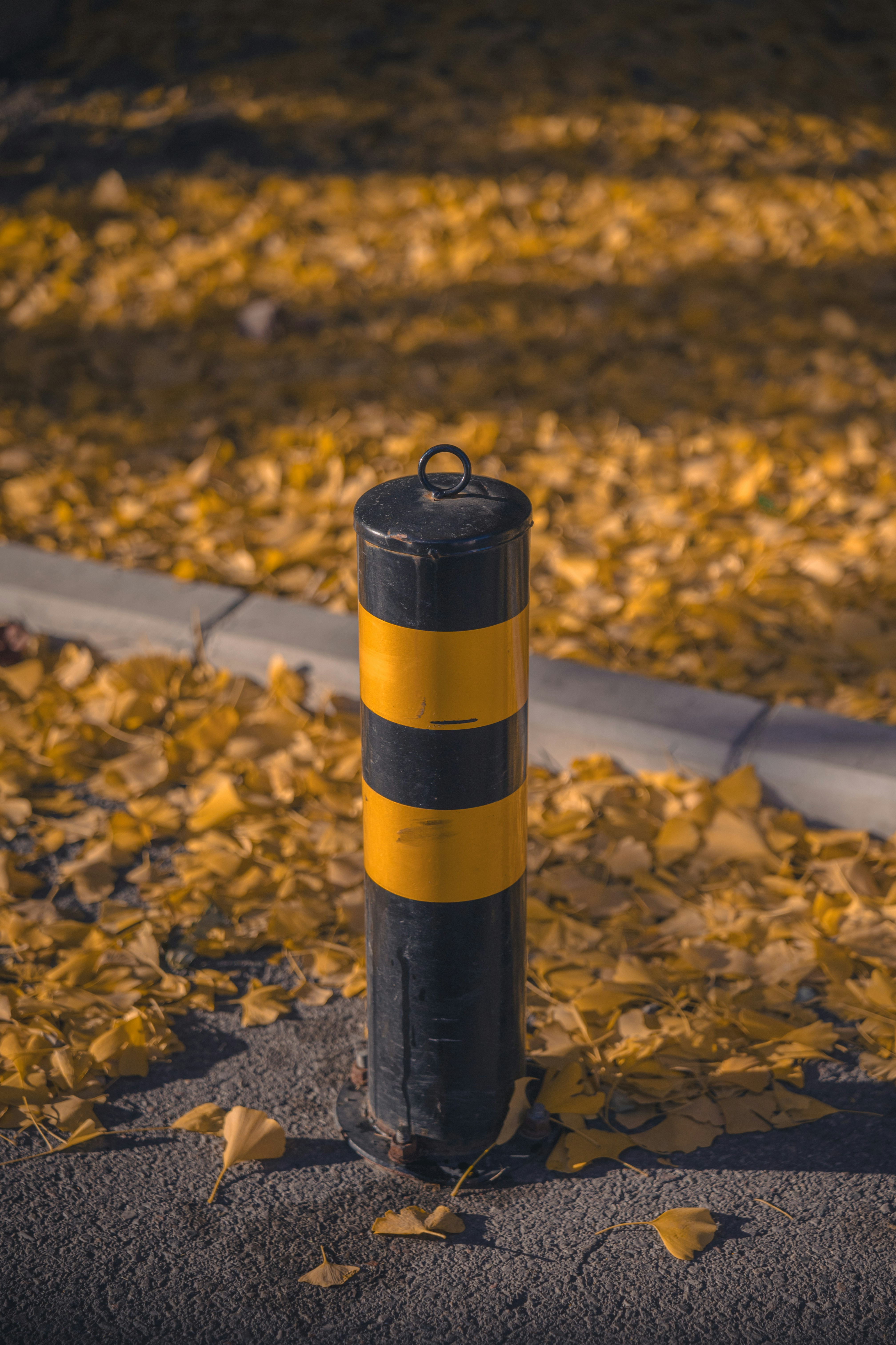 Autumn Sentinel: Striped Bollard Guarding a Leaf-Strewn Curb