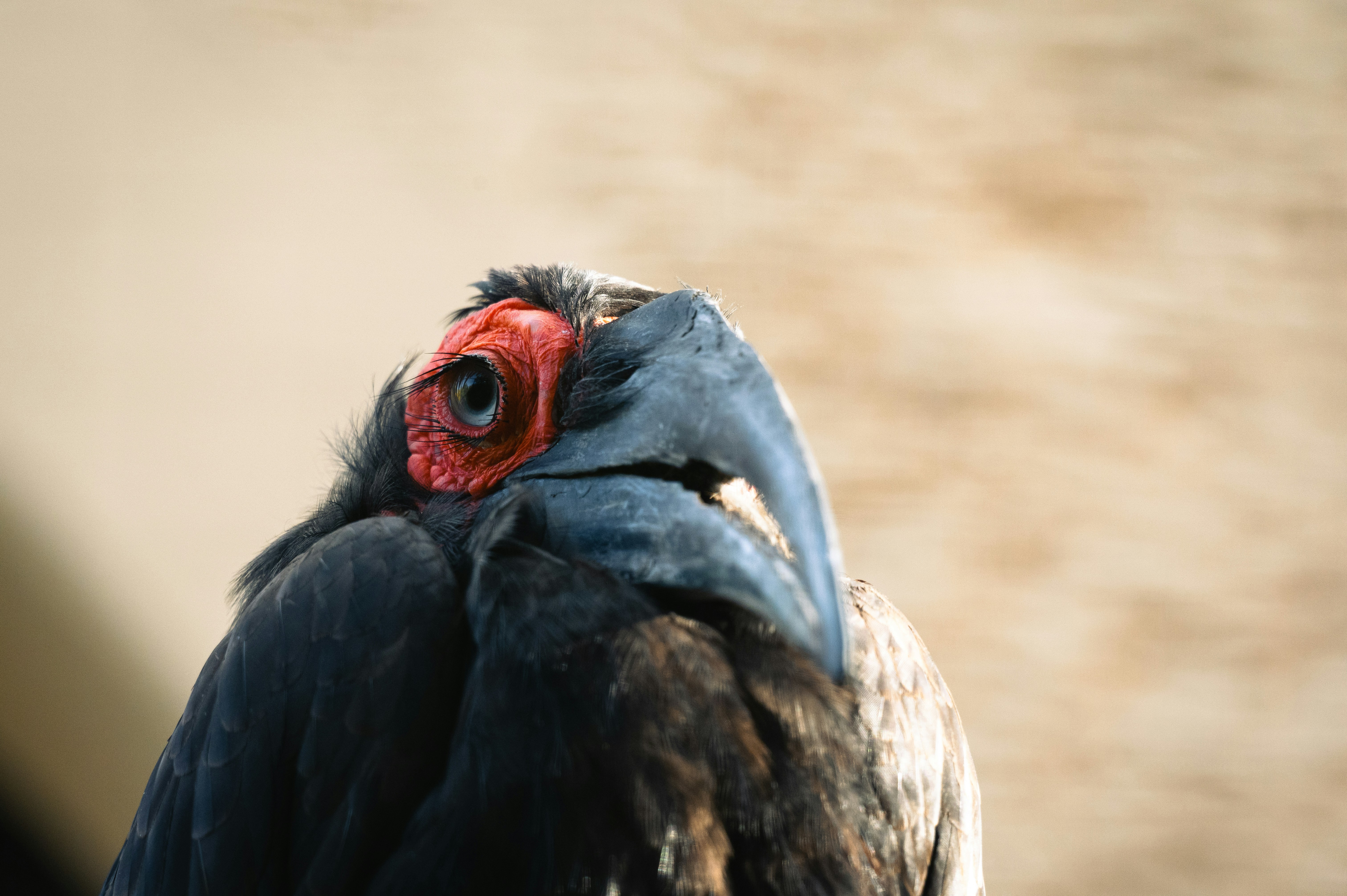 Photo by Job Vermeulen with Nikon Z6