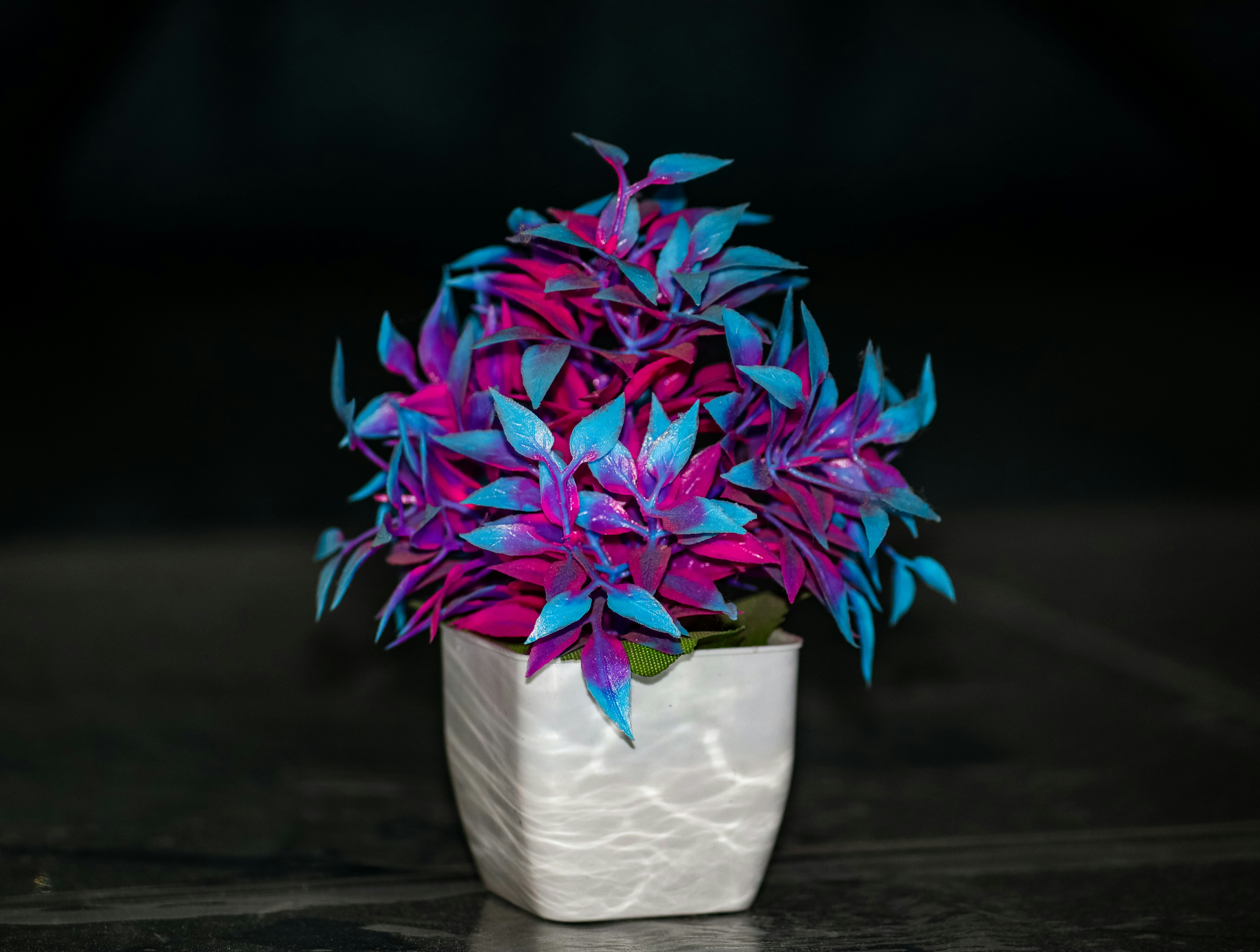 Neon Foliage in a Velvet-dark Studio Still Life