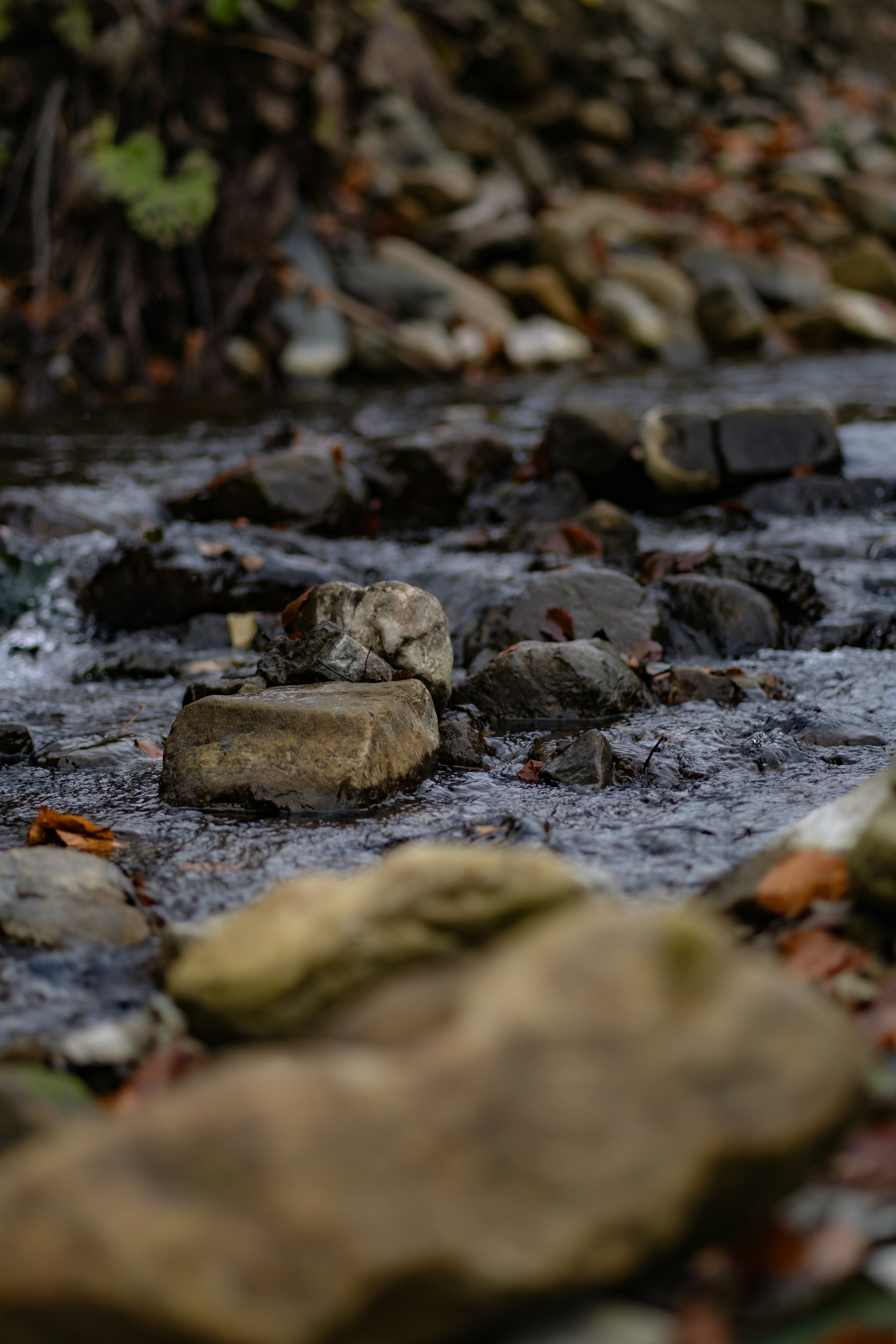 Stone Stack in a Quiet Stream: Texture, Light, and Pebble Geometry