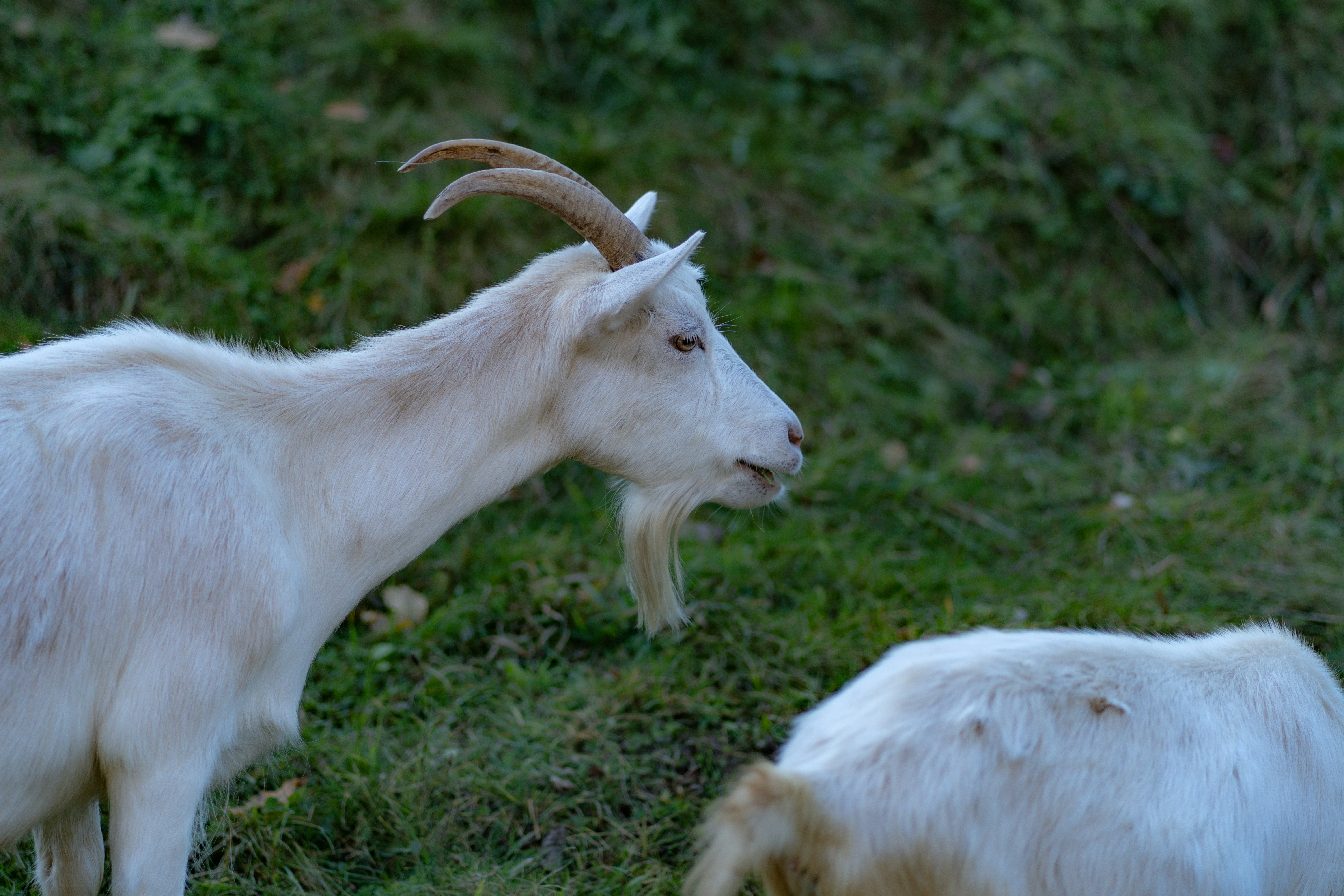 Photo by Yuliia Rohozna with Sony Alpha 6400