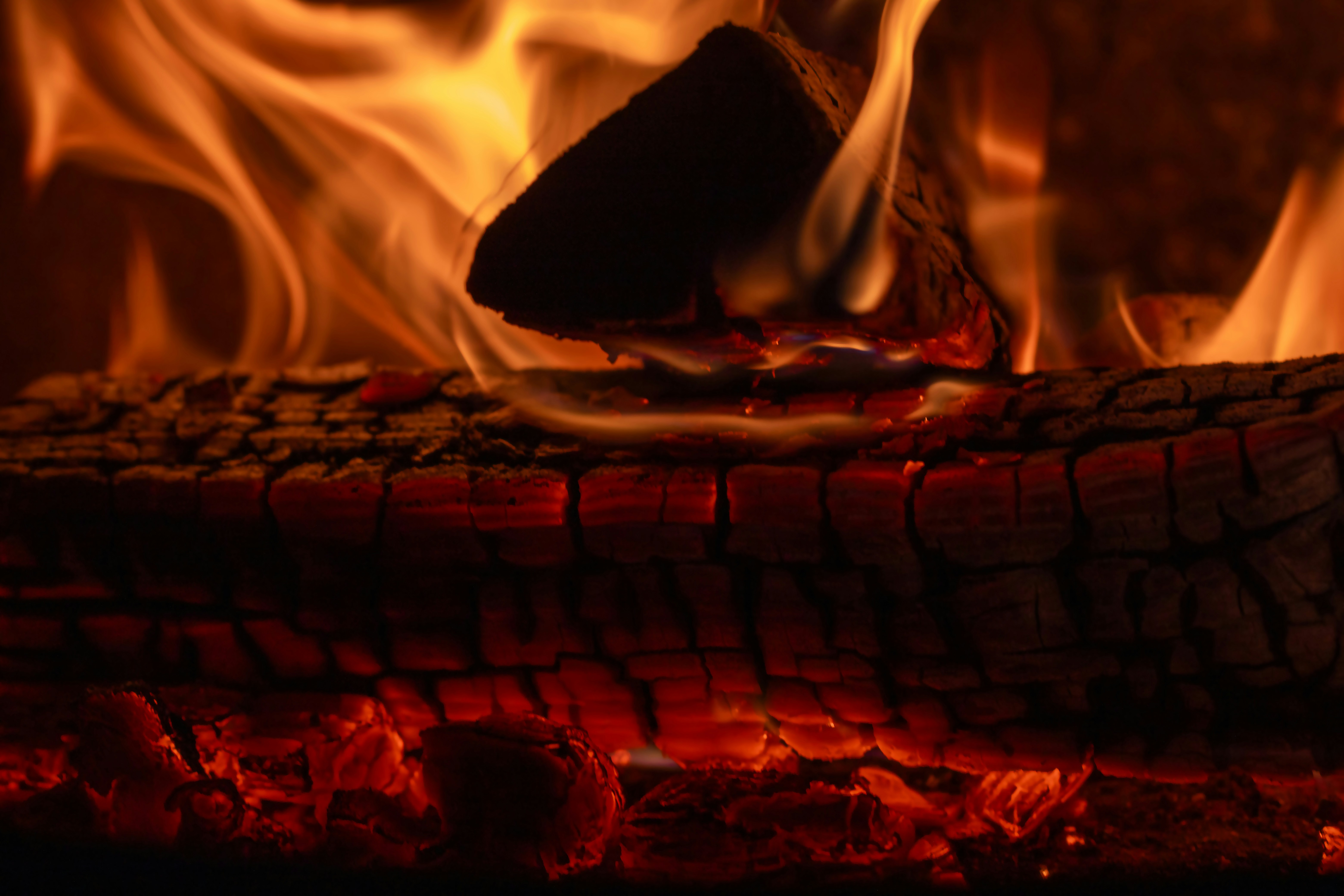 Photo by MARIOLA GROBELSKA with Canon EOS 6D Mark II