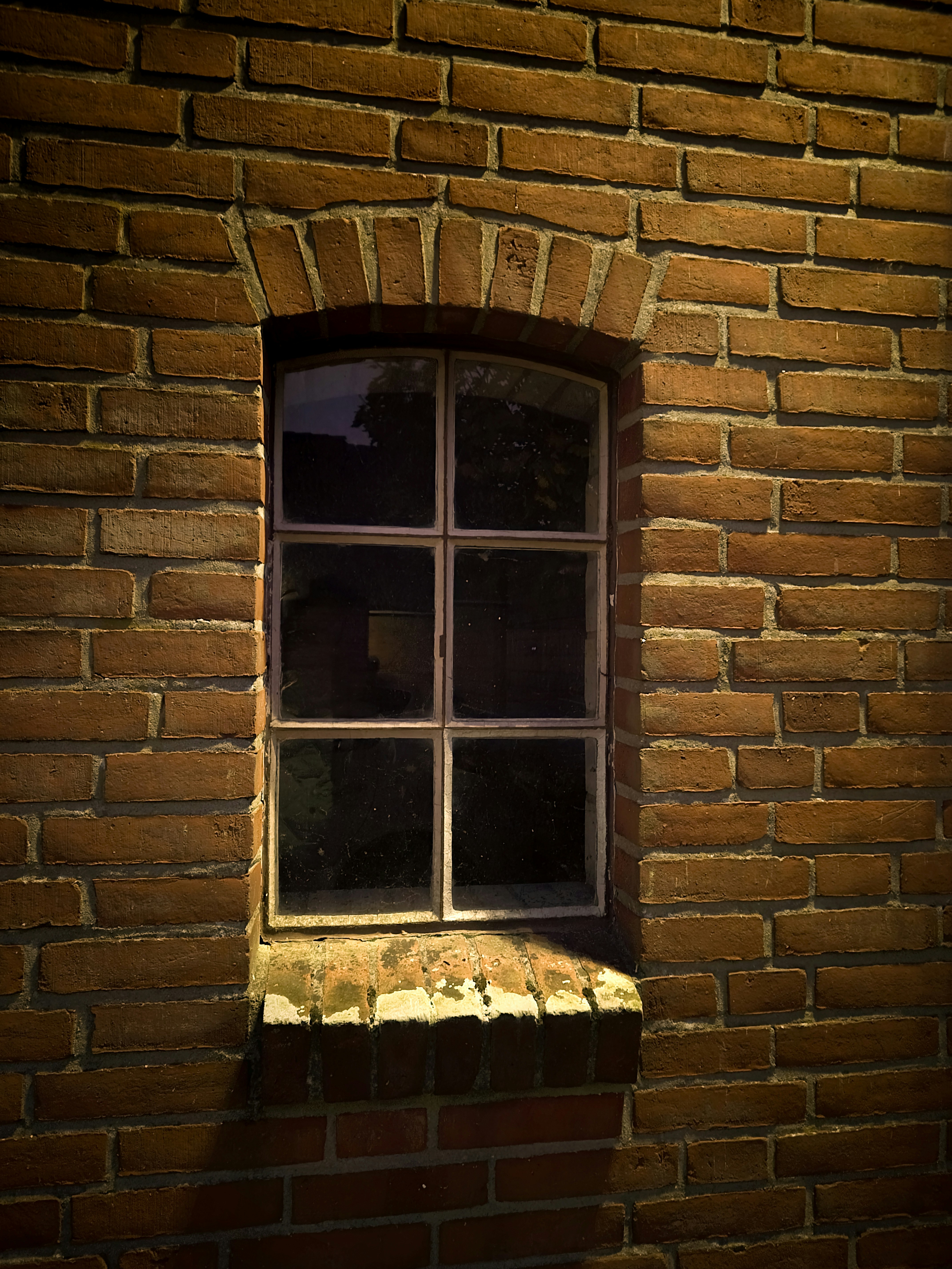 Photo by Yan Ots with SAMSUNG Galaxy S24