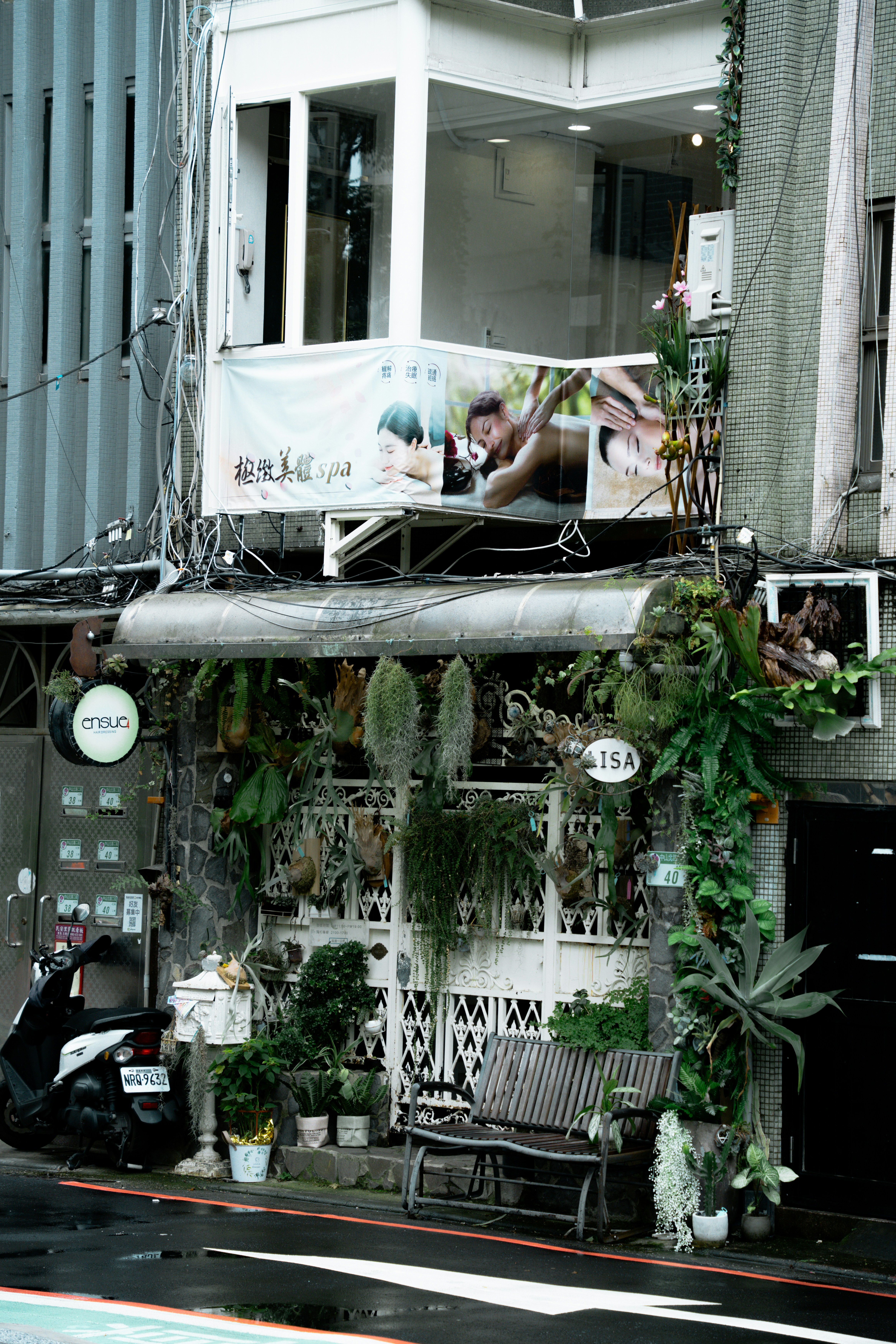 Facade of Greenery and Wellness: A Spa Banner Beneath Urban Vines