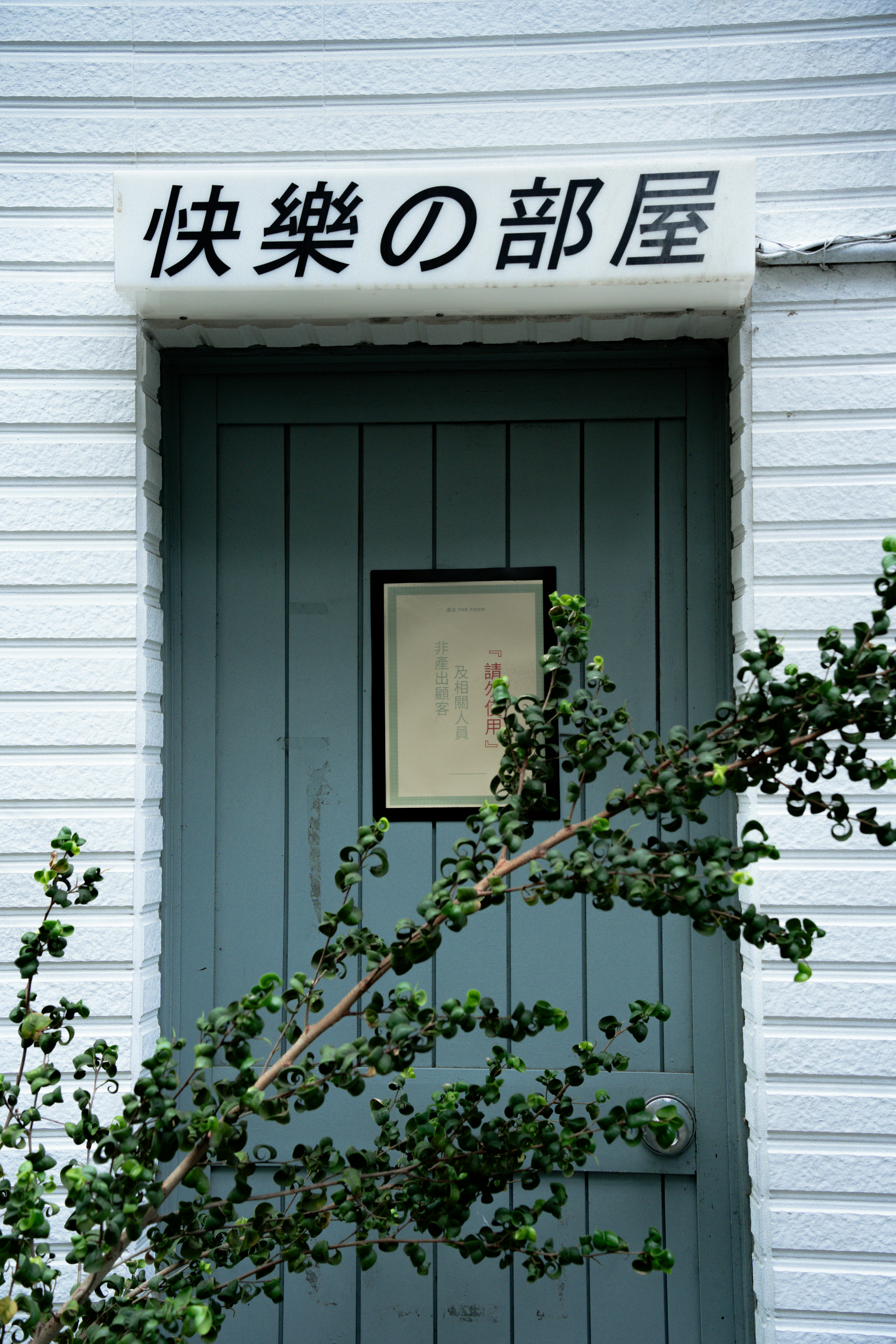 Blue Door Portrait: Framed Notice Beneath a Japanese Sign, Veiled by Green Branches