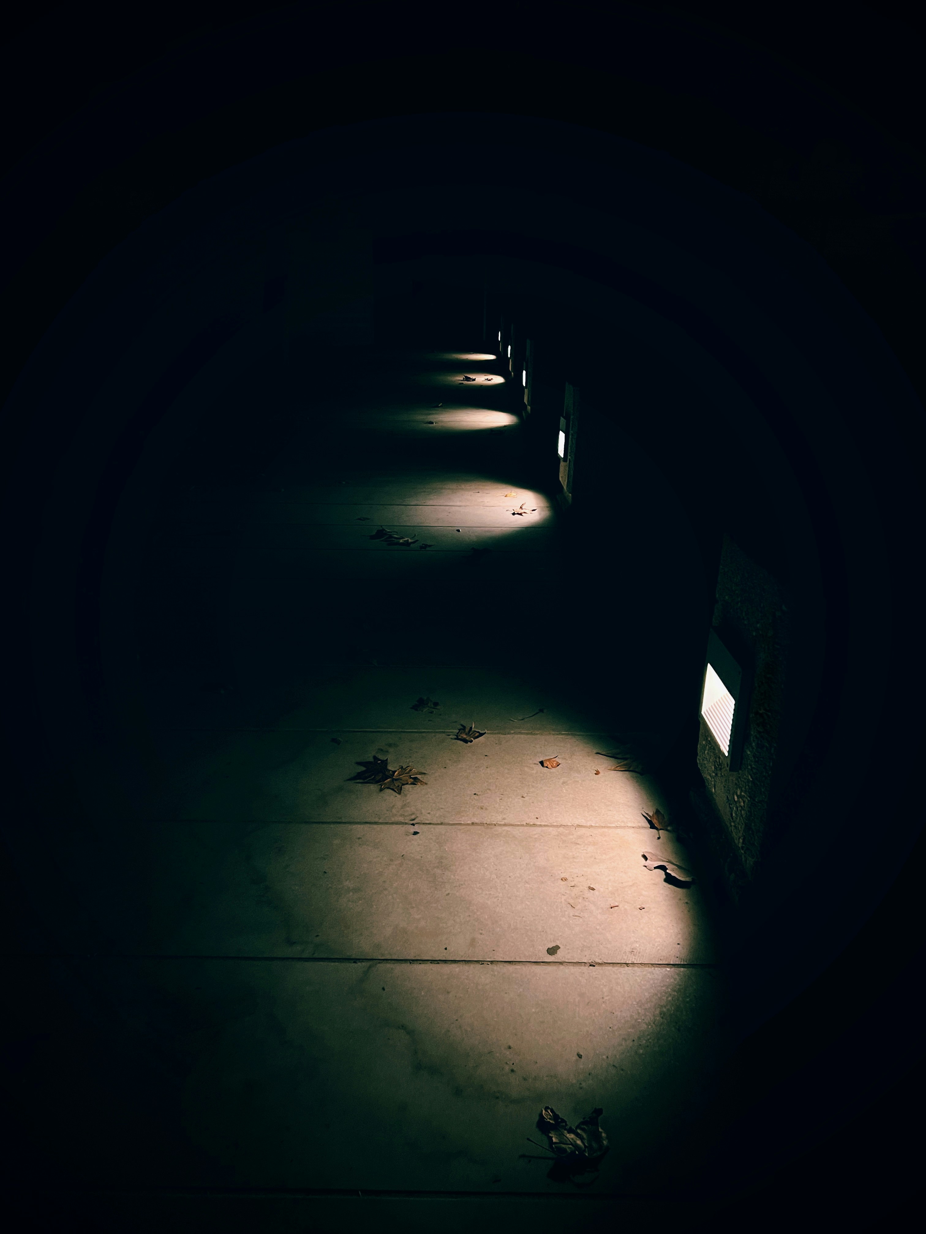 Dimitris Apostol (@dim_apostol) | Comunidade de fotos da Unsplash