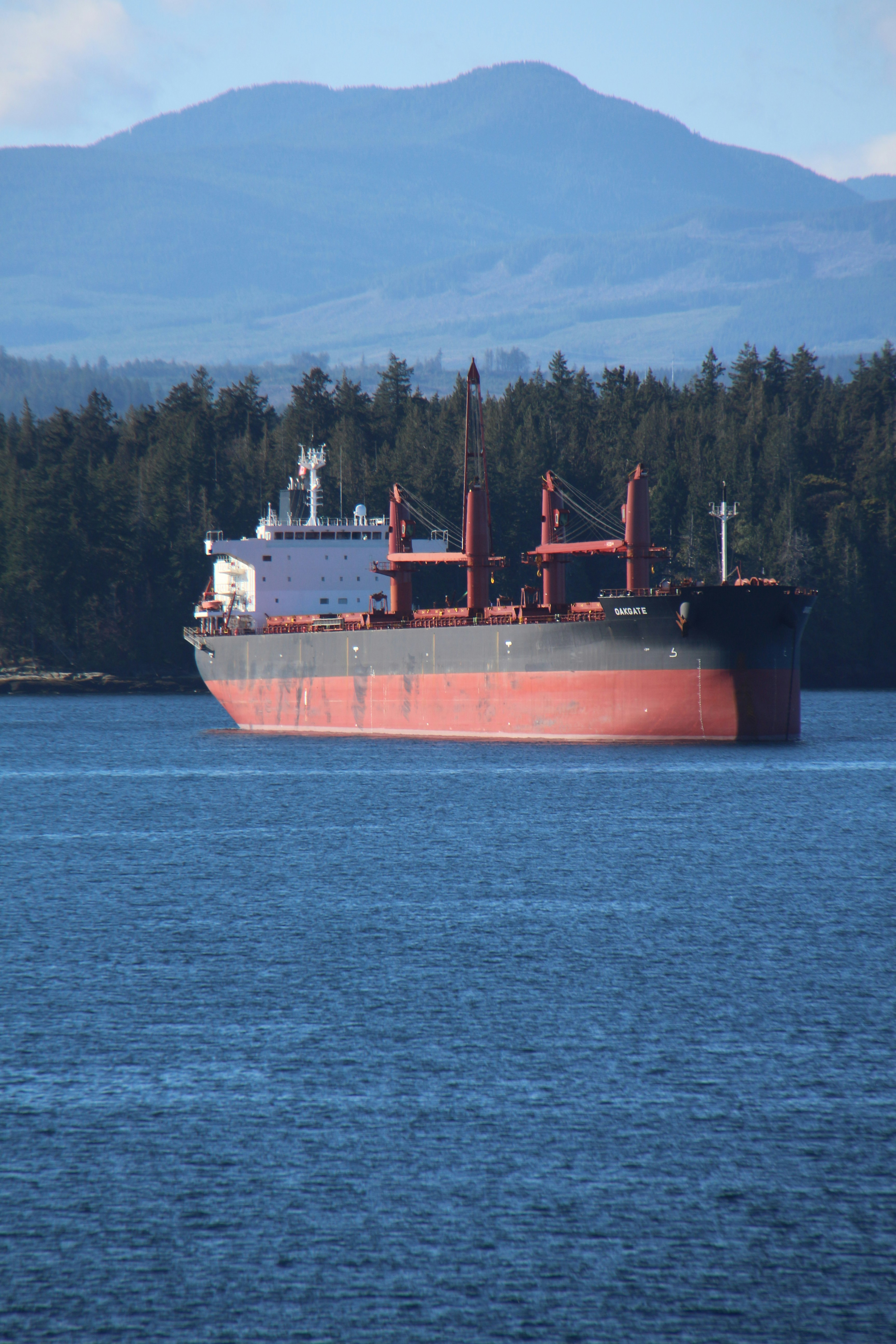 Red-hulled Freighter Anchored Before a Forested Horizon