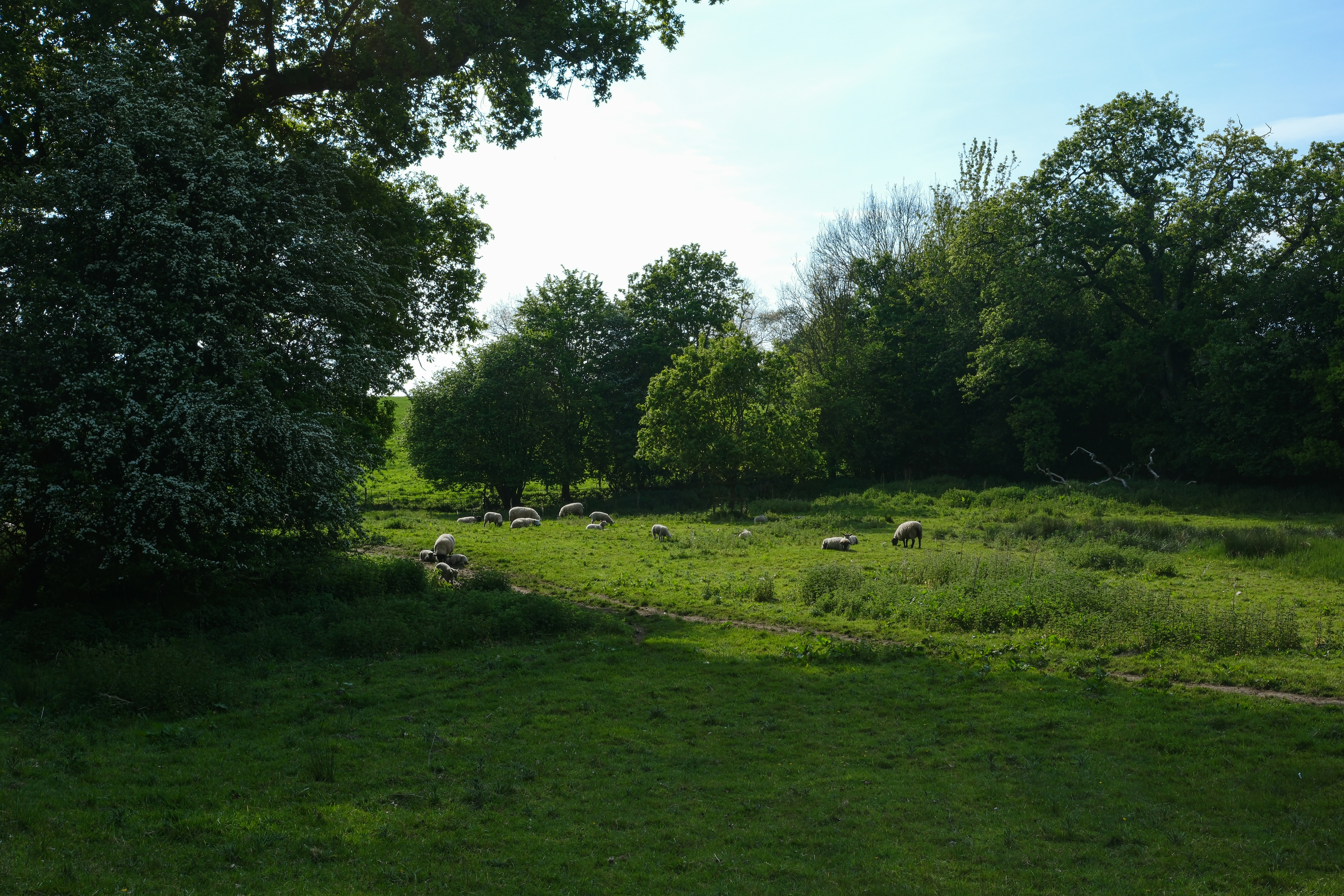 Photo by Andrea Shipka with Fujifilm X-T5