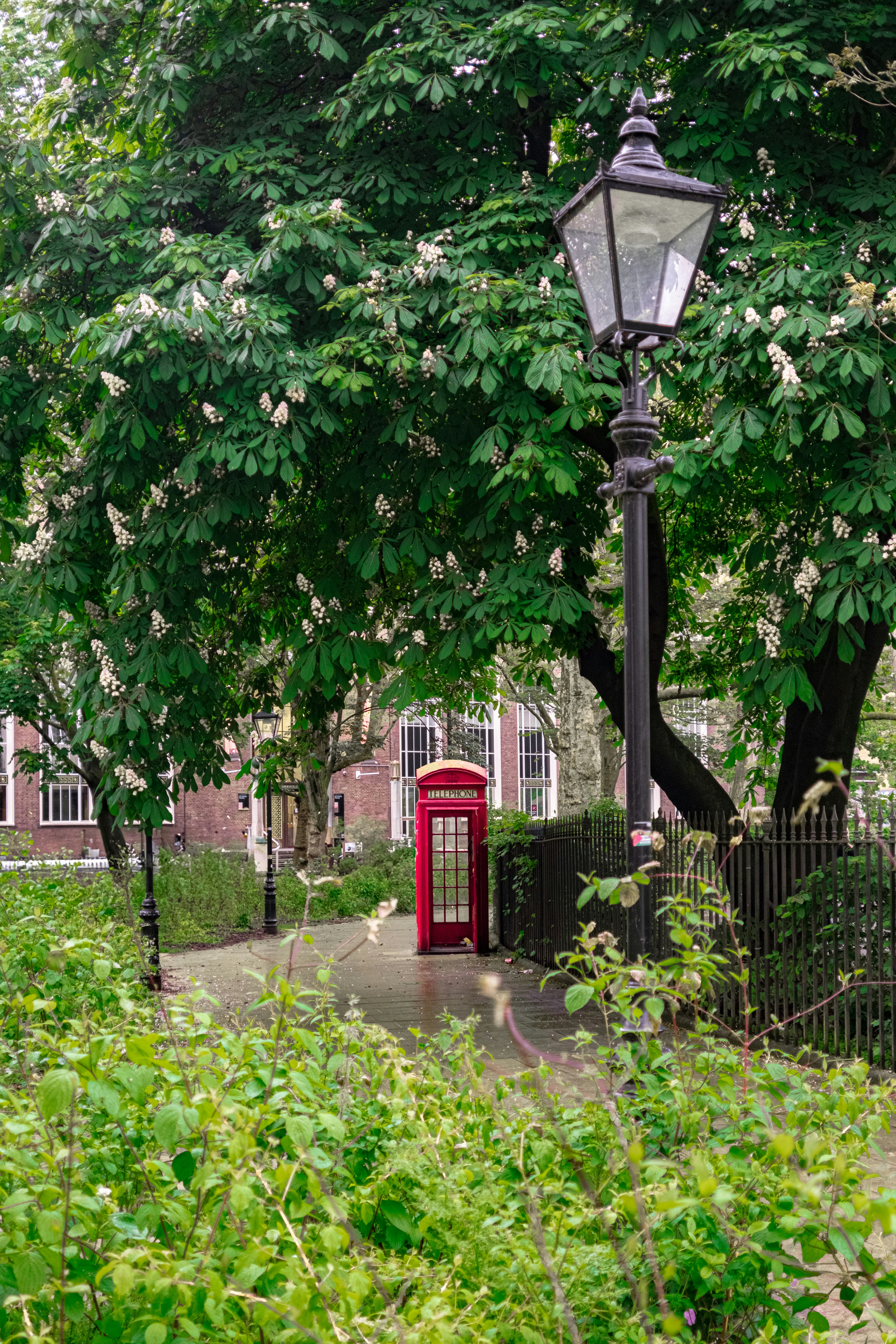 Red Telephone Booth Framed by Green Canopy and a Vintage Street Lamp