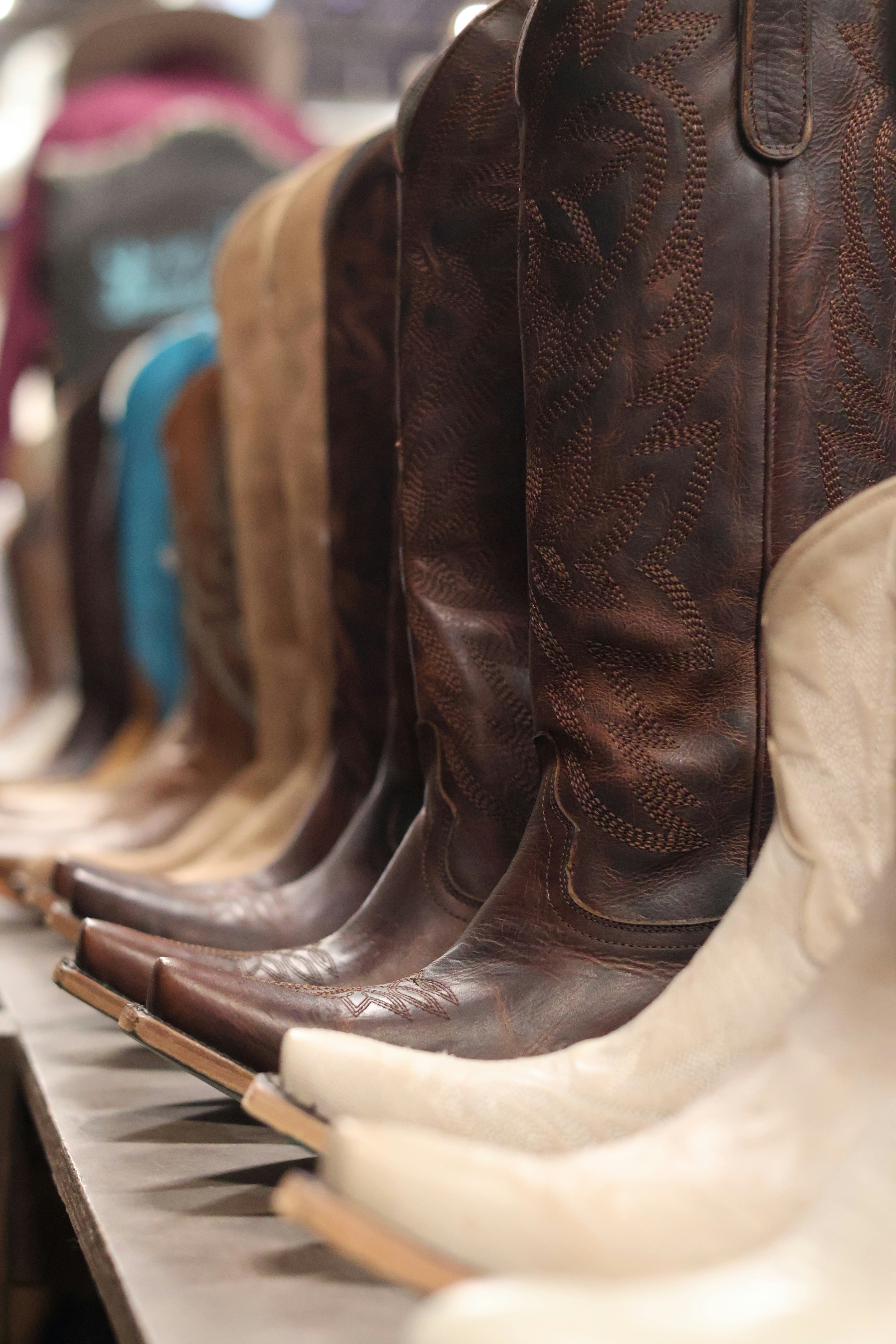 A row of cowboy boots lined up on a shelf photo – Free Fort worth Image ...