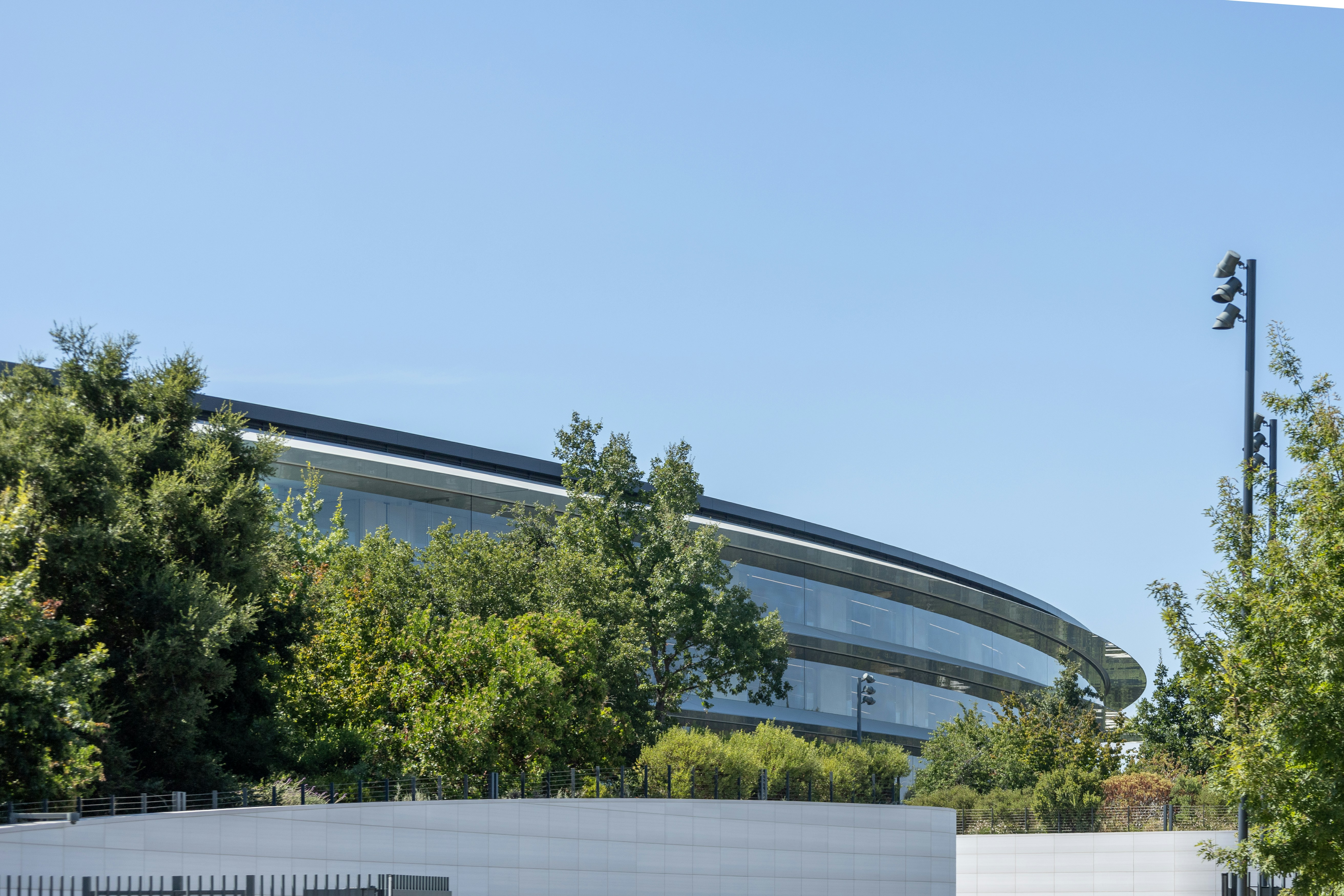 Arching Glass Facade Rising Beyond a Quiet Green Canopy