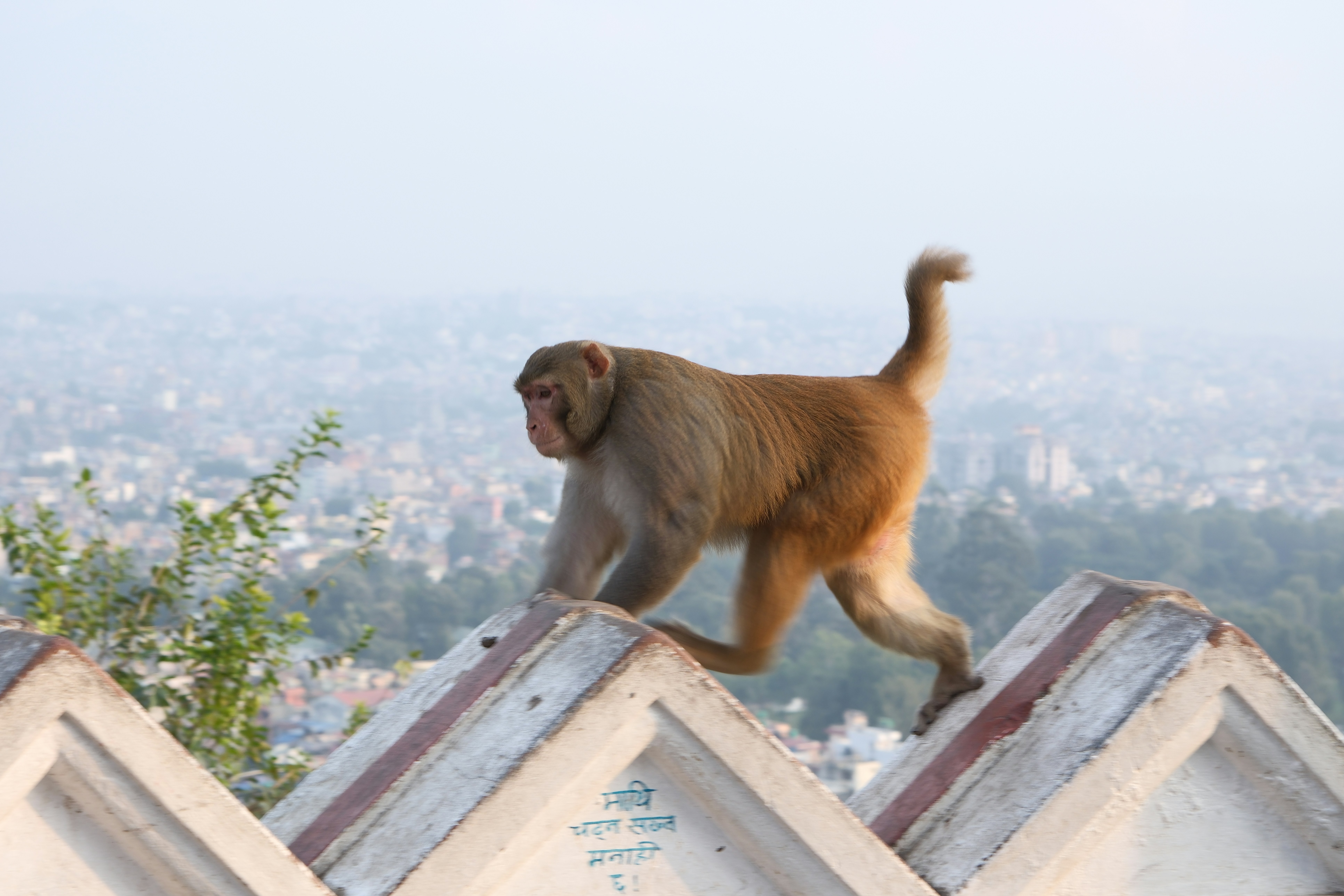 Photo by Walter Coppola with Fujifilm X-H2