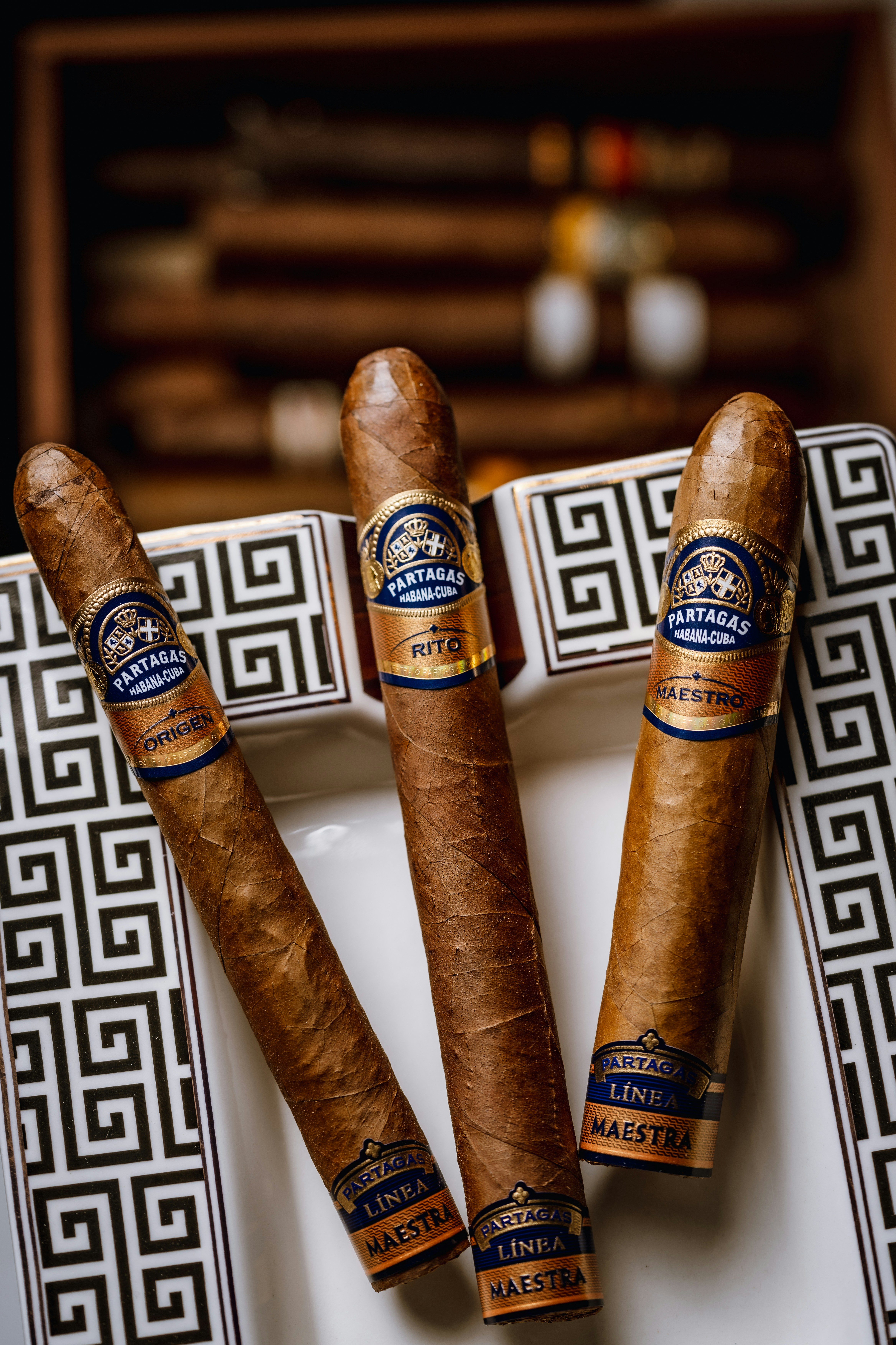 Three cigars sitting on top of a white plate photo – Free Face Image on ...