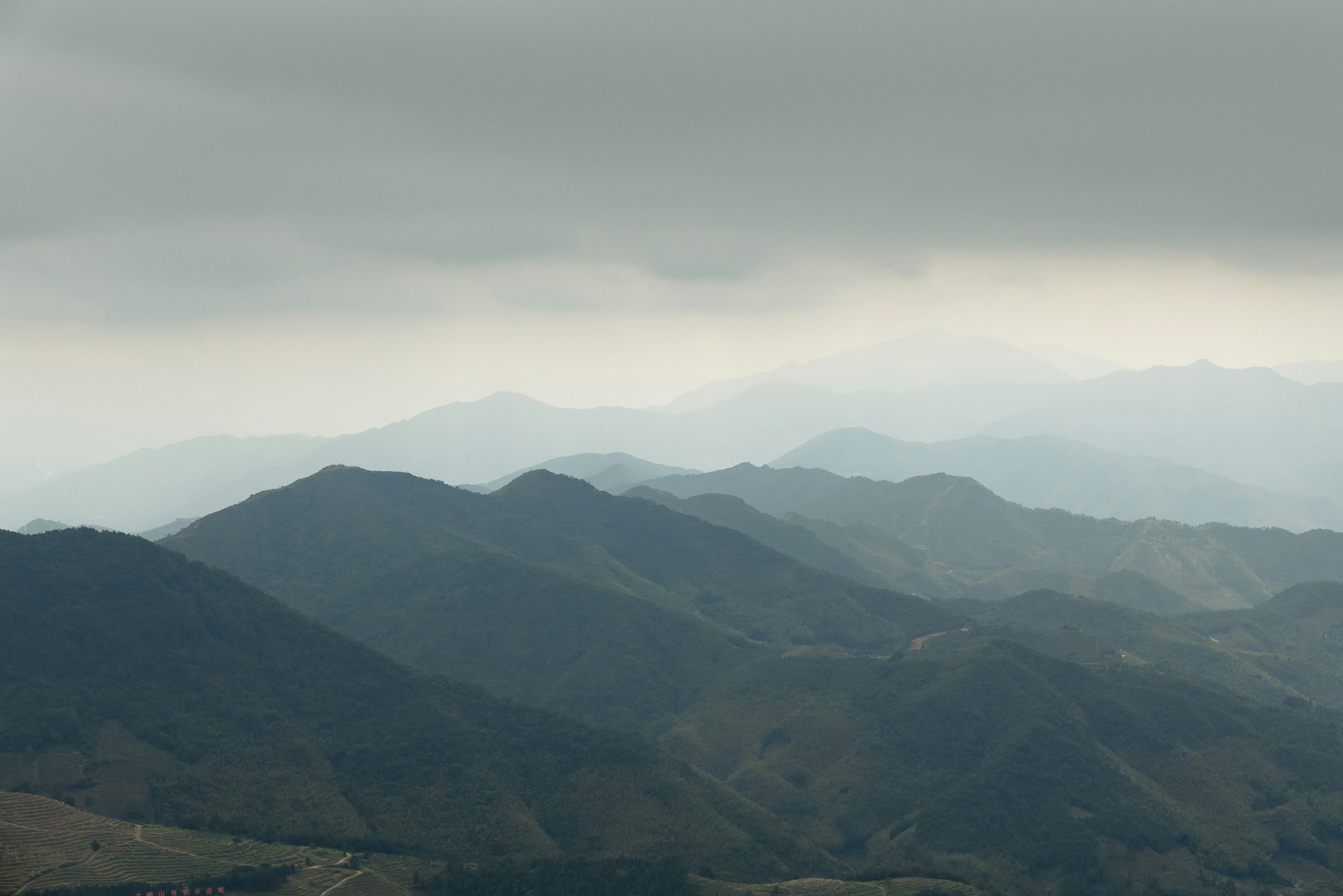 Photo by Zhongyi Chen with Leica D-Lux 8