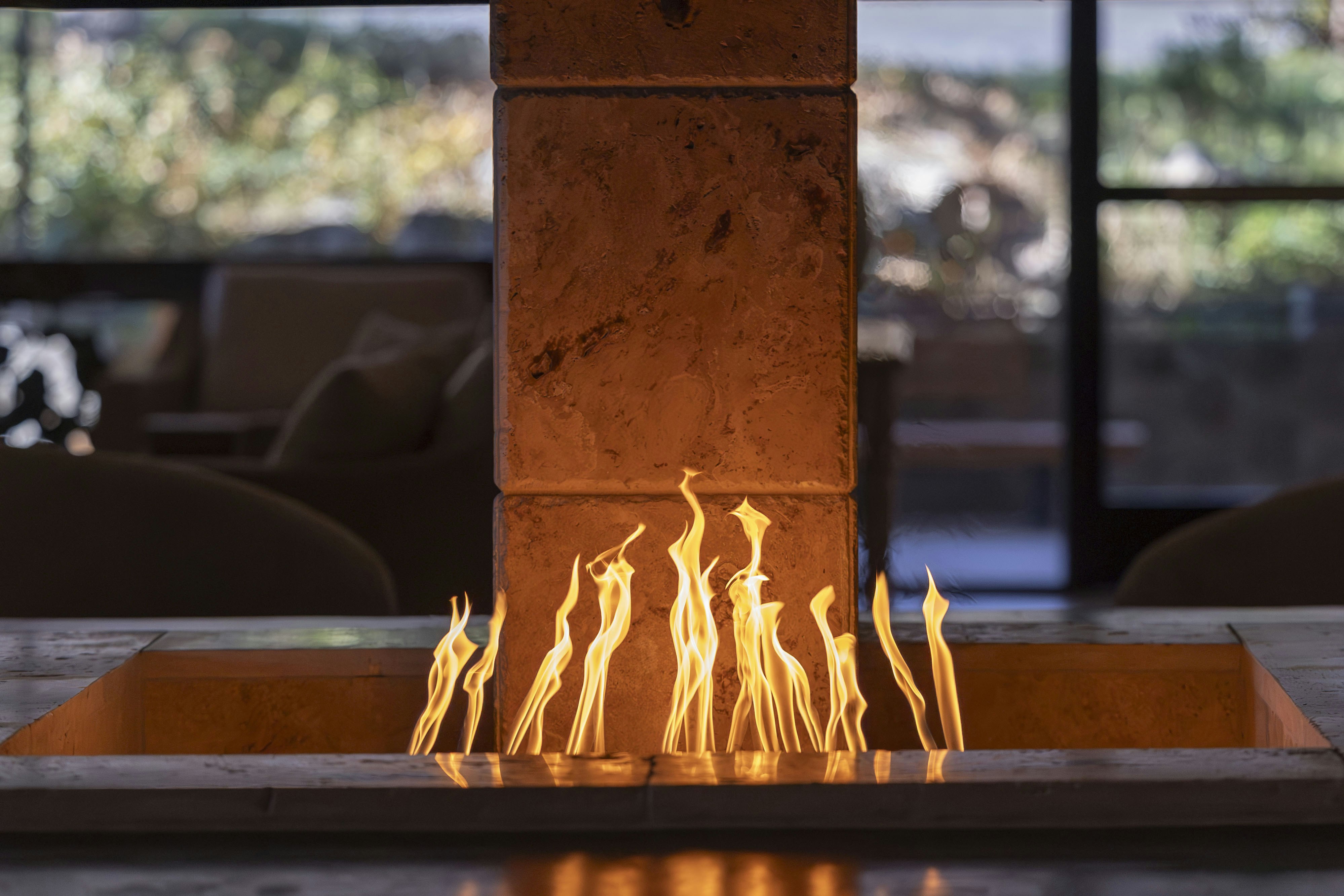 A group of people standing around a fire pit photo – Free Food Image on ...