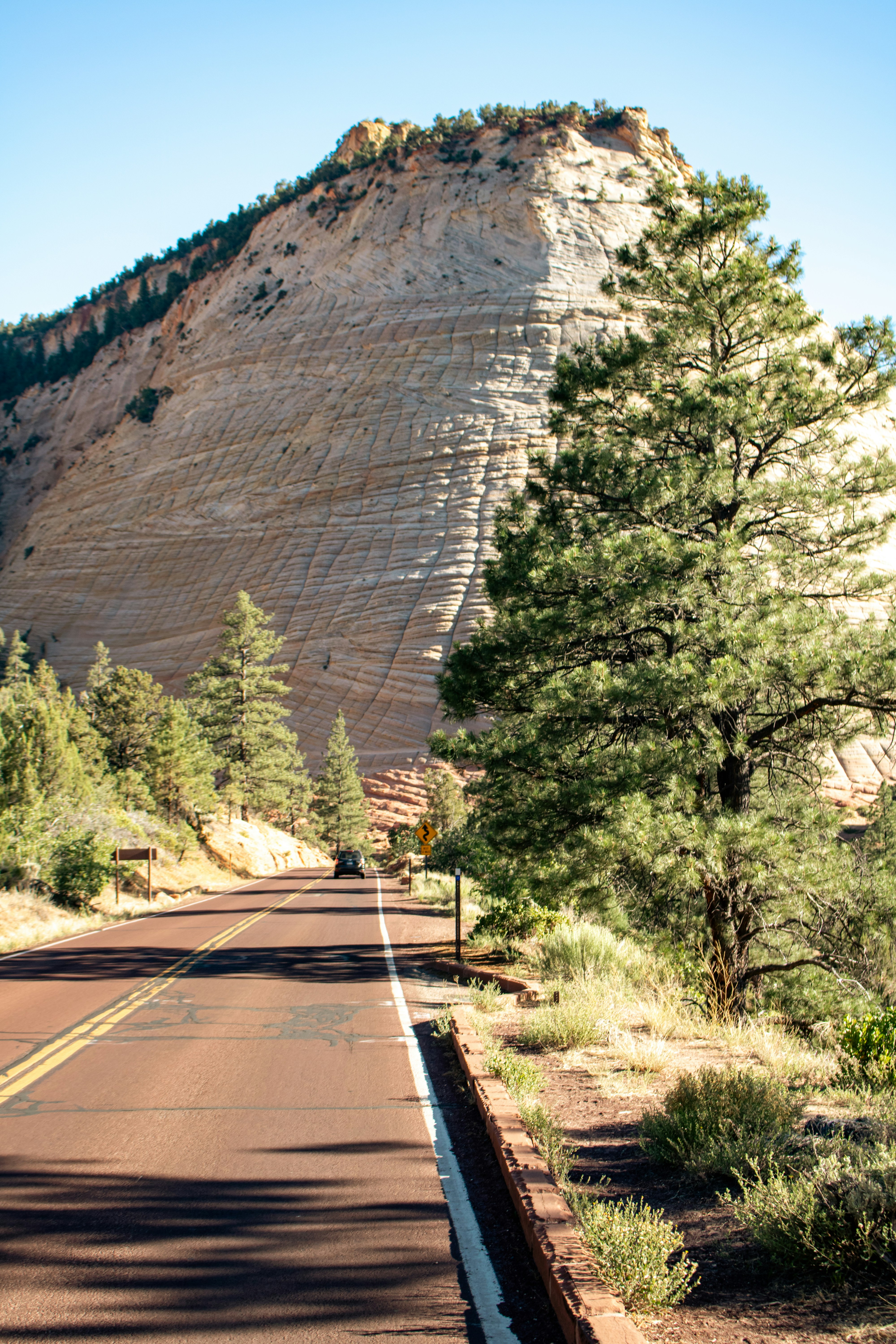 Winding Desert Road Meets a Towering Sandstone Cliff Framed by Pines