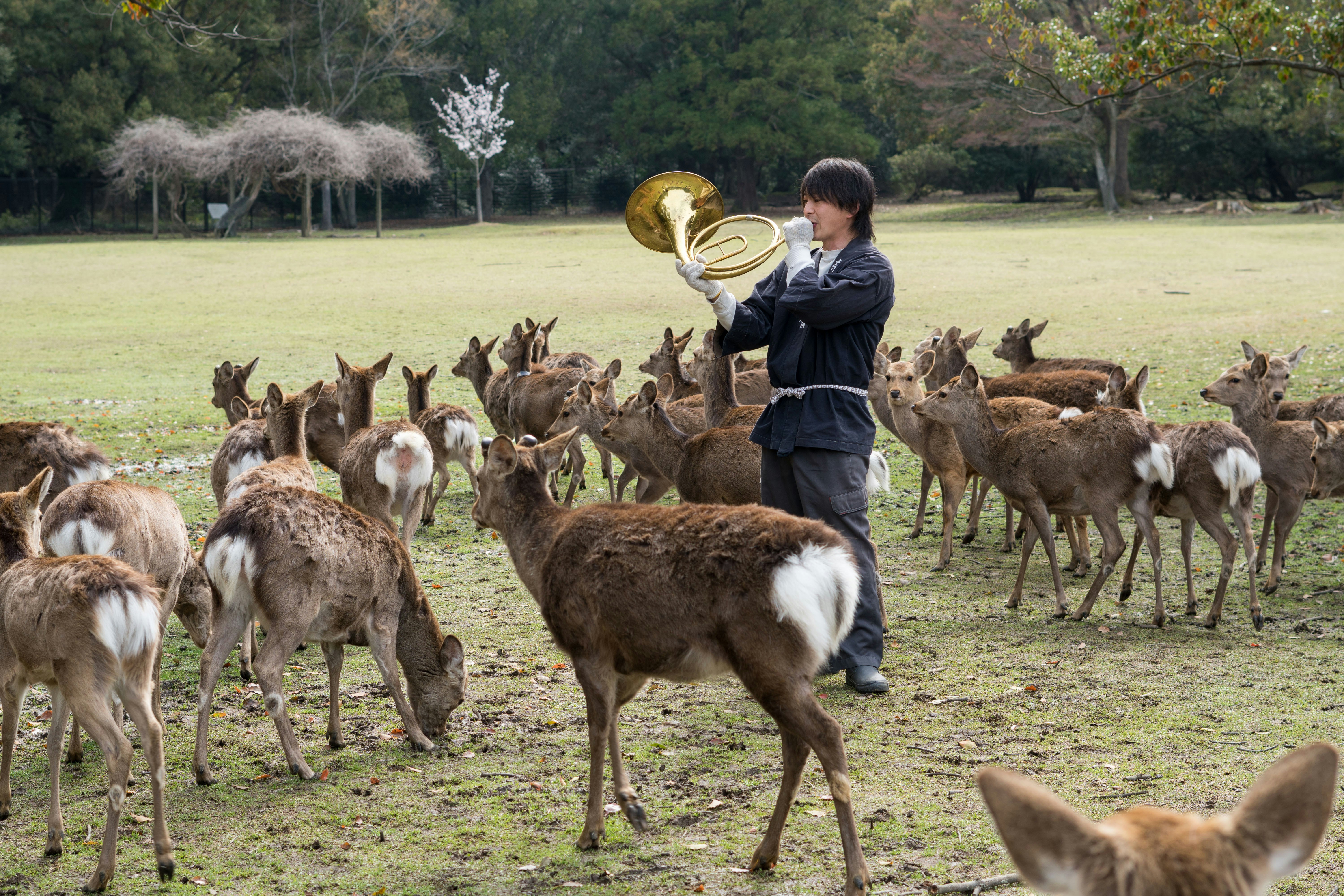 Photo by Antonio Araujo with Sony Alpha 6300