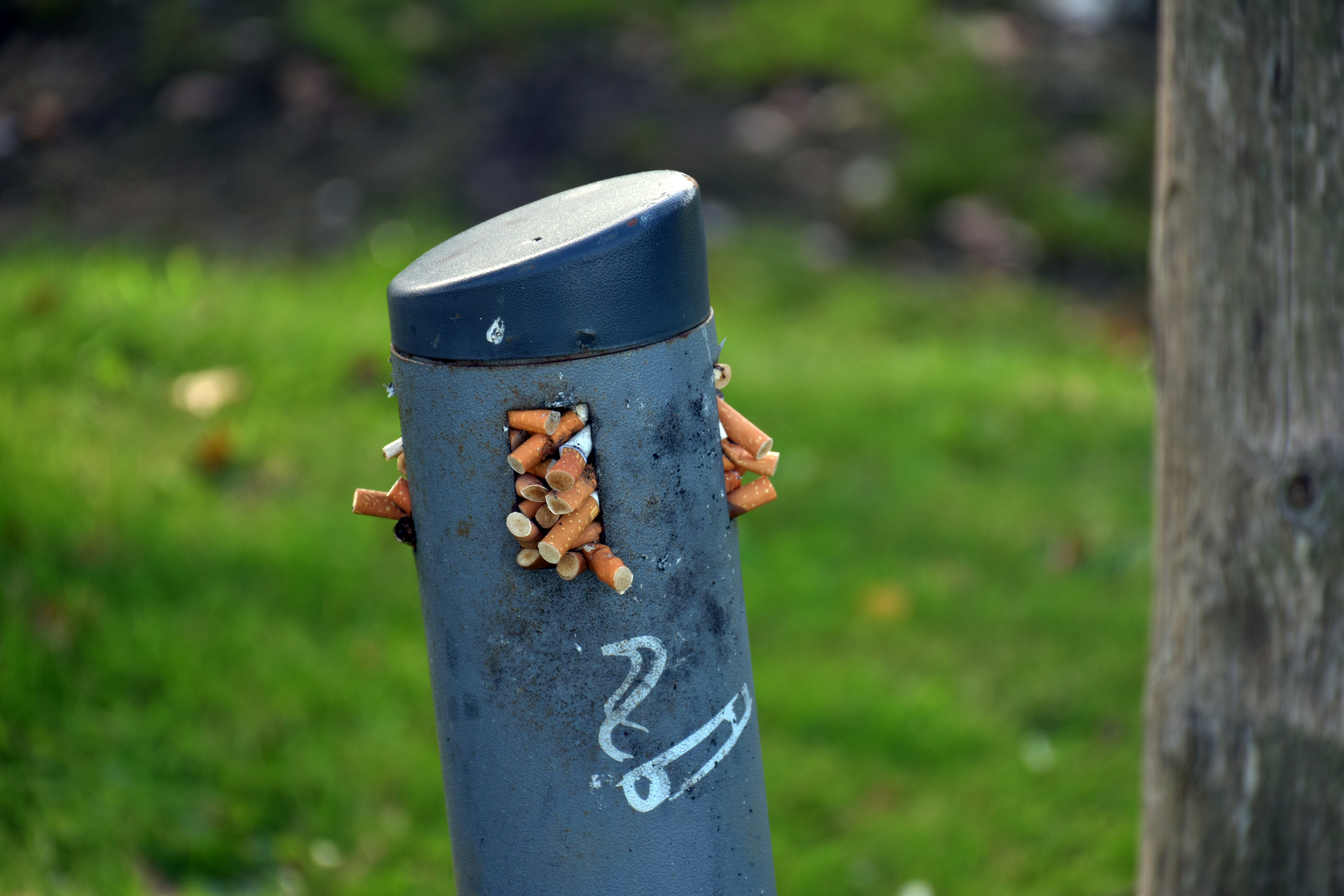 Distasteful vs. Redeeming - What's the Difference? | This vs. That