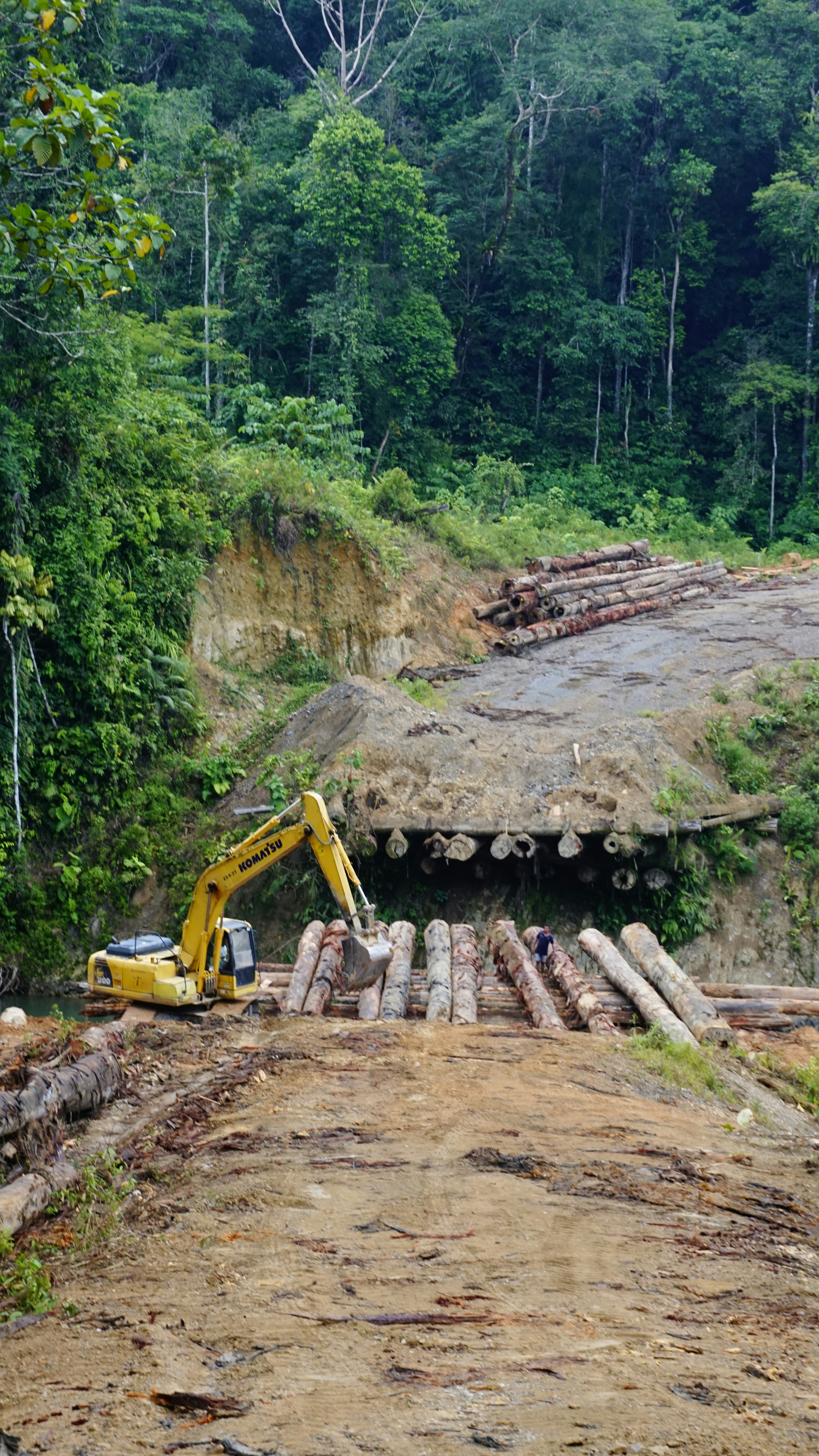 Yellow Excavator and Log Pile at a Forest Road Construction Site